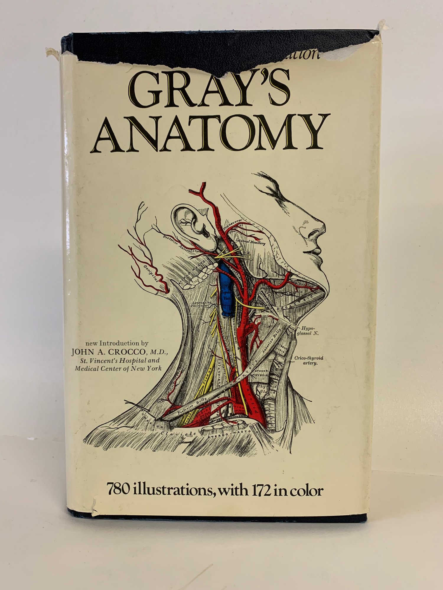 Grays Anatomy Book #11053 | Auctionninja.com