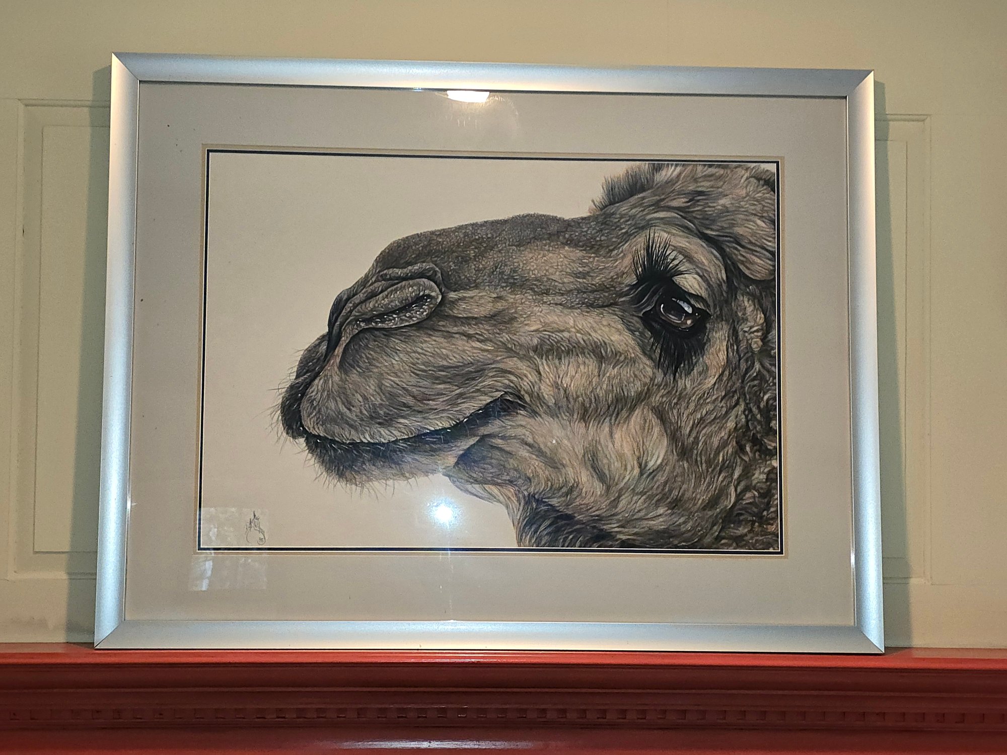 Signed D. Arthur Wilson Drawing Of Camel 1988 #61849 | Auctionninja.com