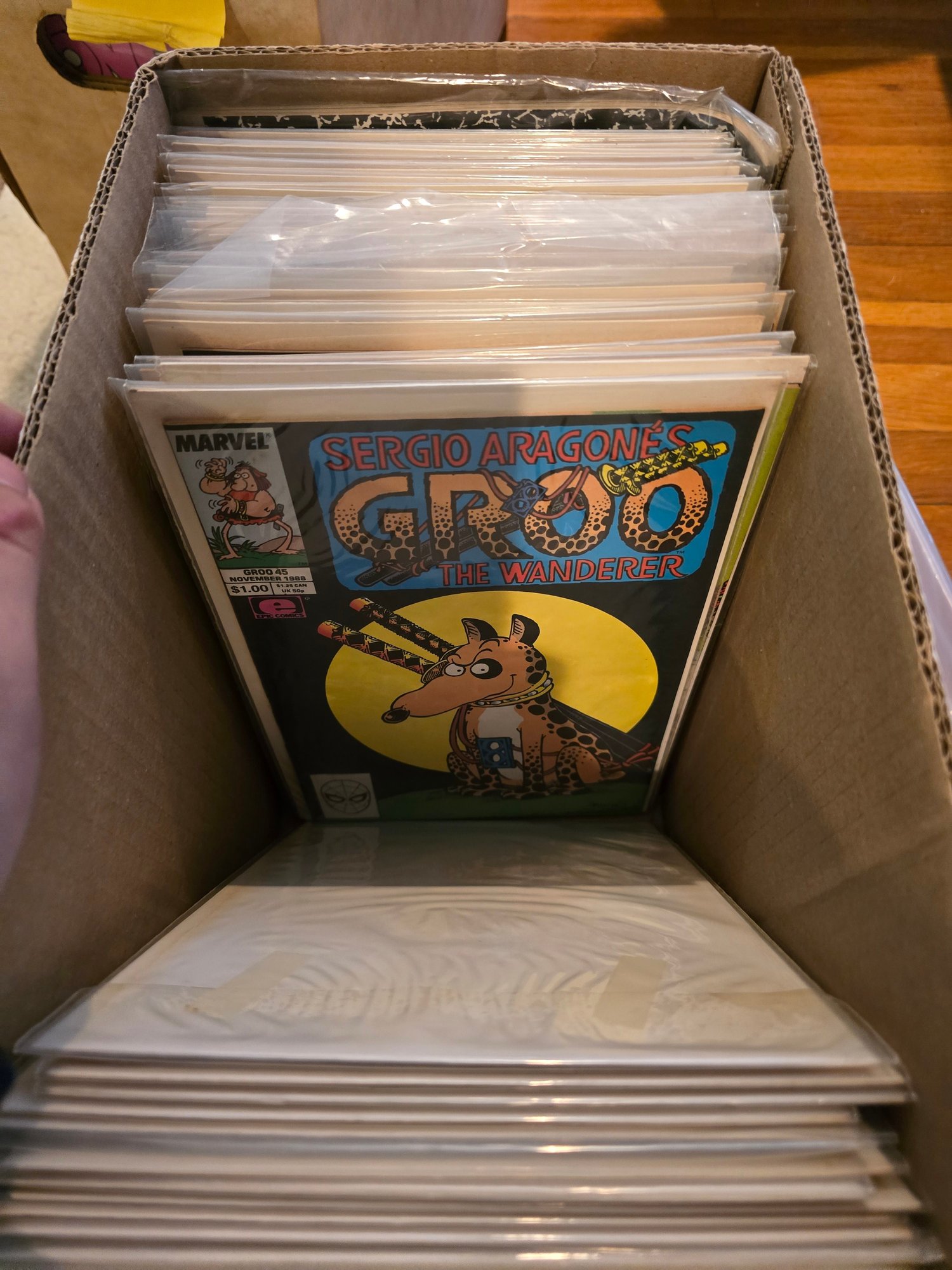 Lot Of 60 Vintage Sergio Aragone's Groo The Wanderer Comic Books, C7 ...