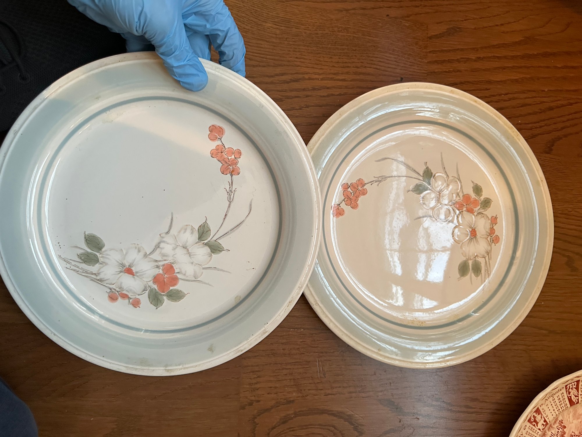 Set Of 2 Impressions By Danielle Stoneware Plates #20004 | Auctionninja.com