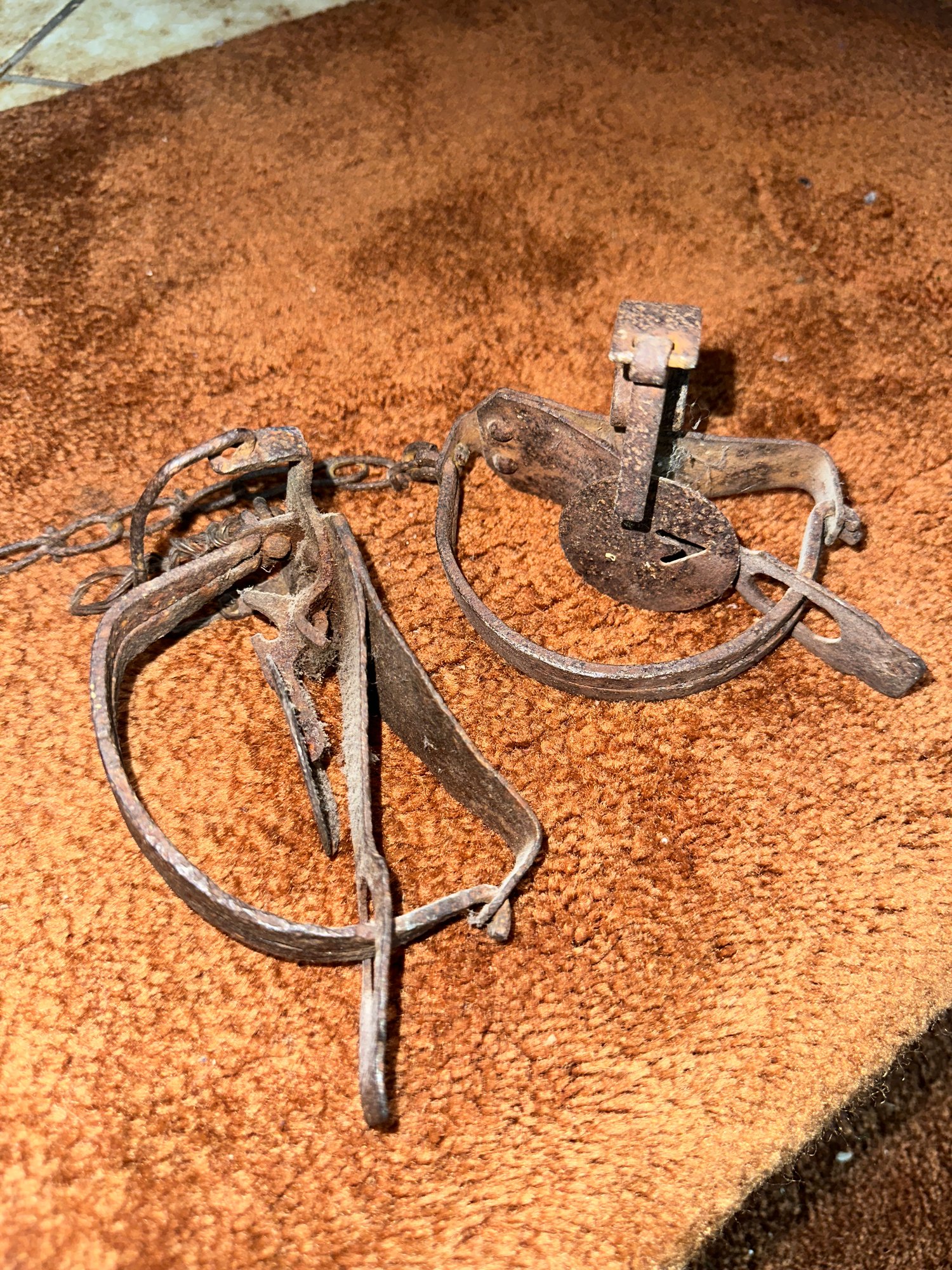 Antique Horse Cavalry Spurs #3540 | Auctionninja.com