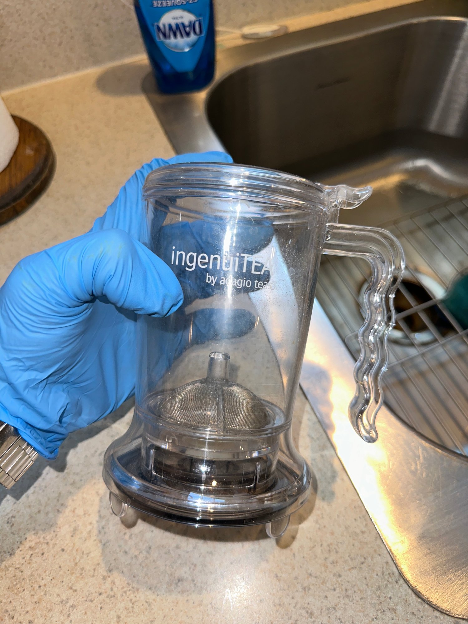 Adagio Teas IngenuiTEA The Ingenious Teapot #13409 | Auctionninja.com