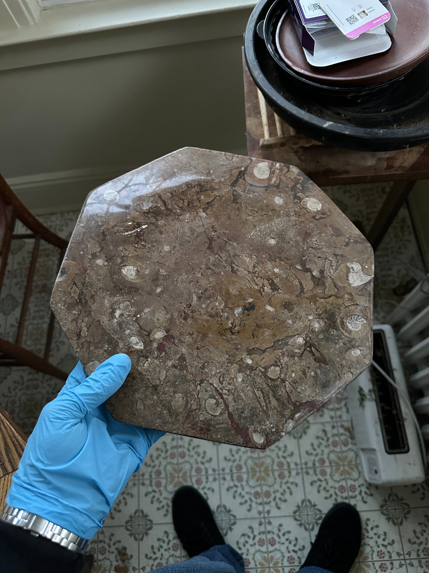 Octagon Shaped Tray/Platter With Orthoceras & Goniatite Fossils #14530 ...