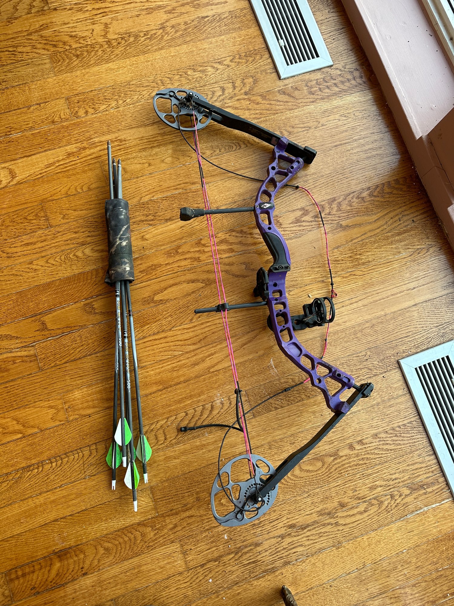 Diamond Prism Compound Bow Purple Archery With Arrows #19897 ...