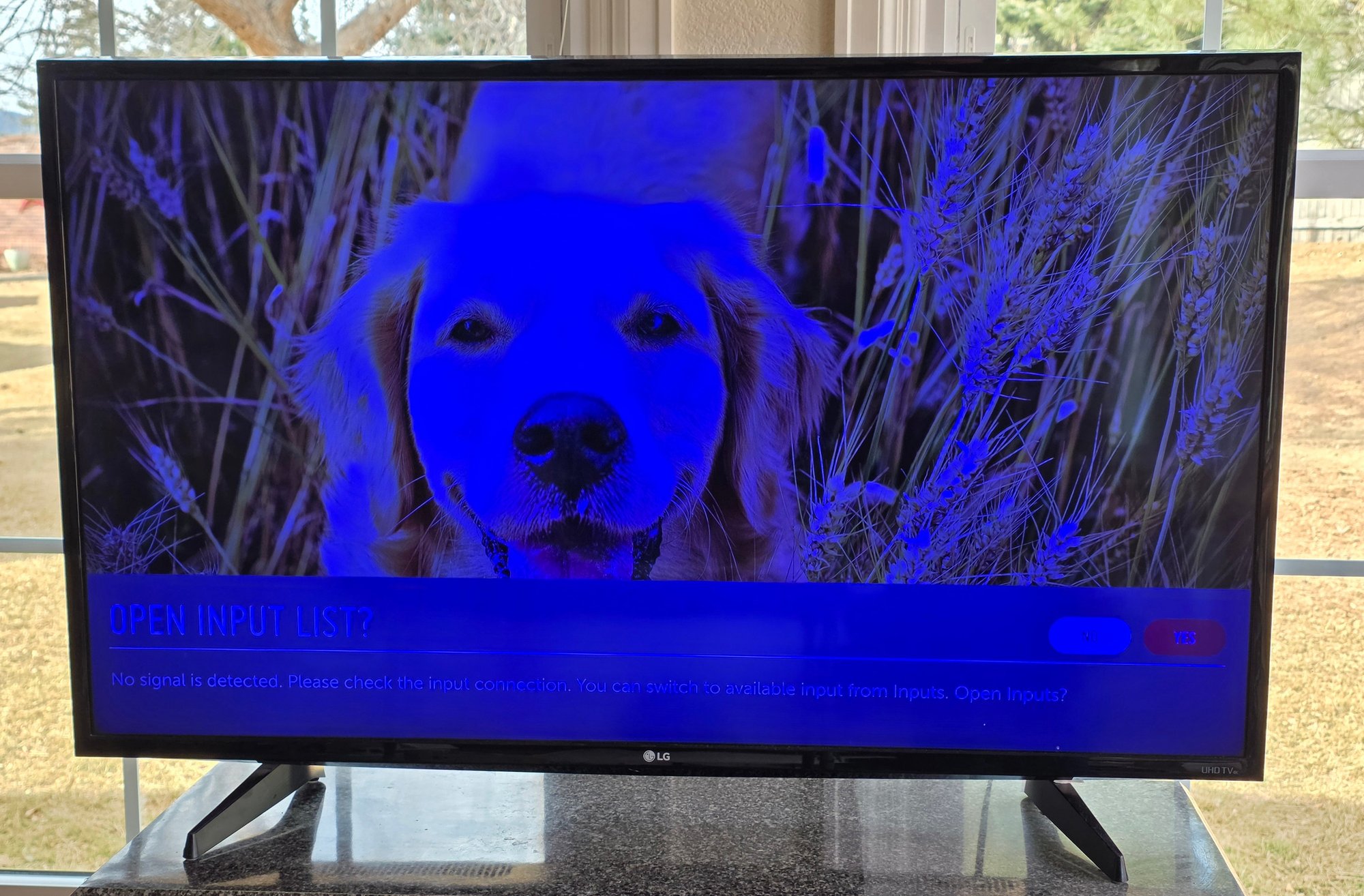 LG Television High Definition With Remote #33437 | Auctionninja.com