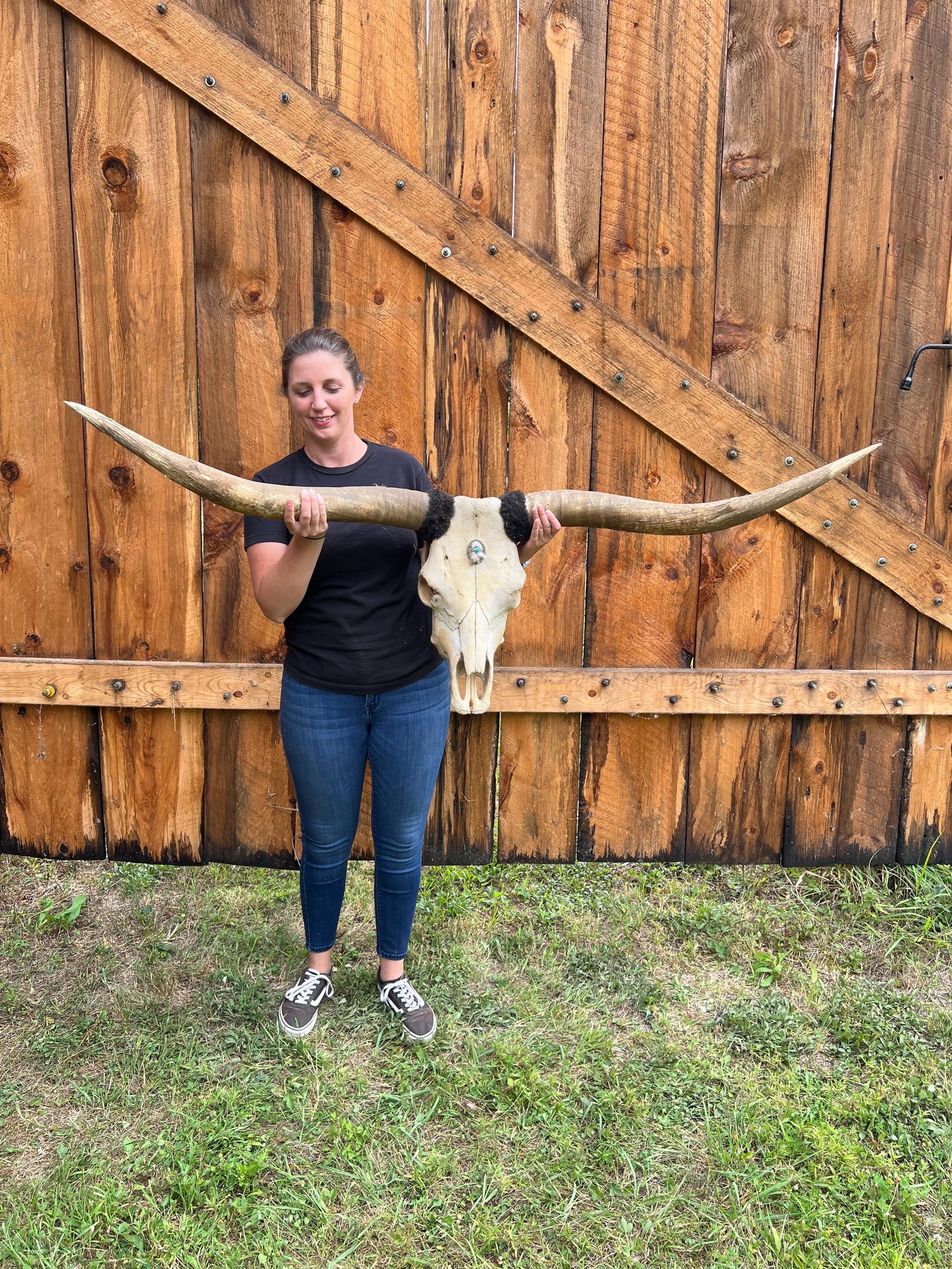 18 - LONGHORN STEER MOUNT #28619 | Auctionninja.com