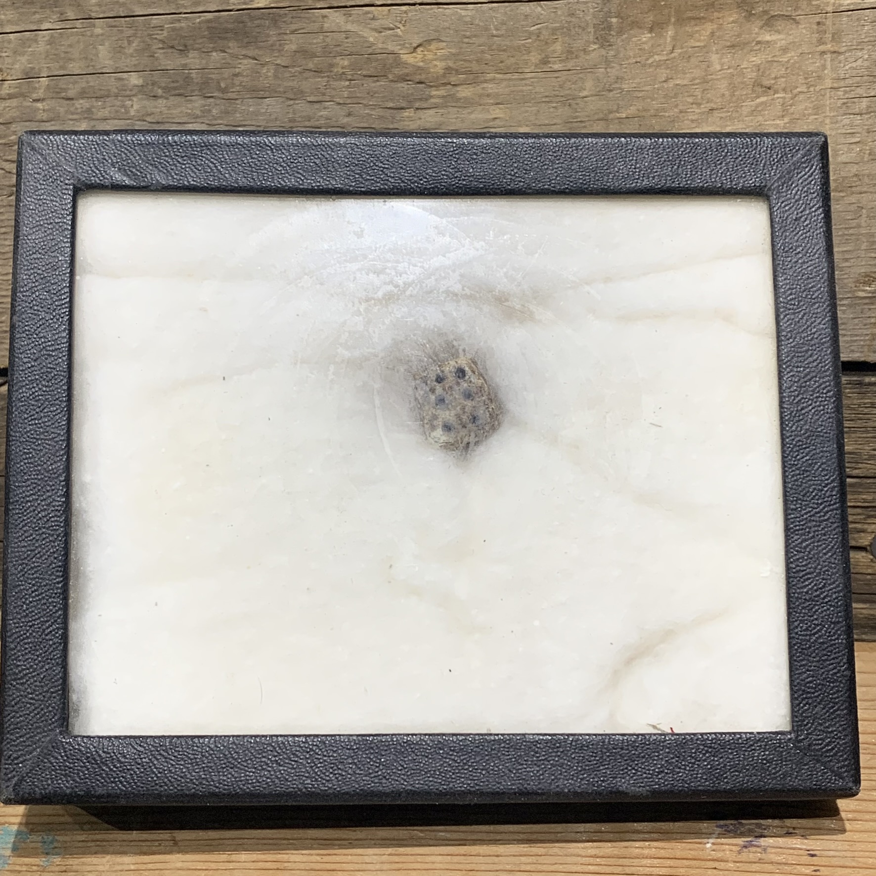 Civil War Era, Stone Die, In Collector Box #3239 | Auctionninja.com