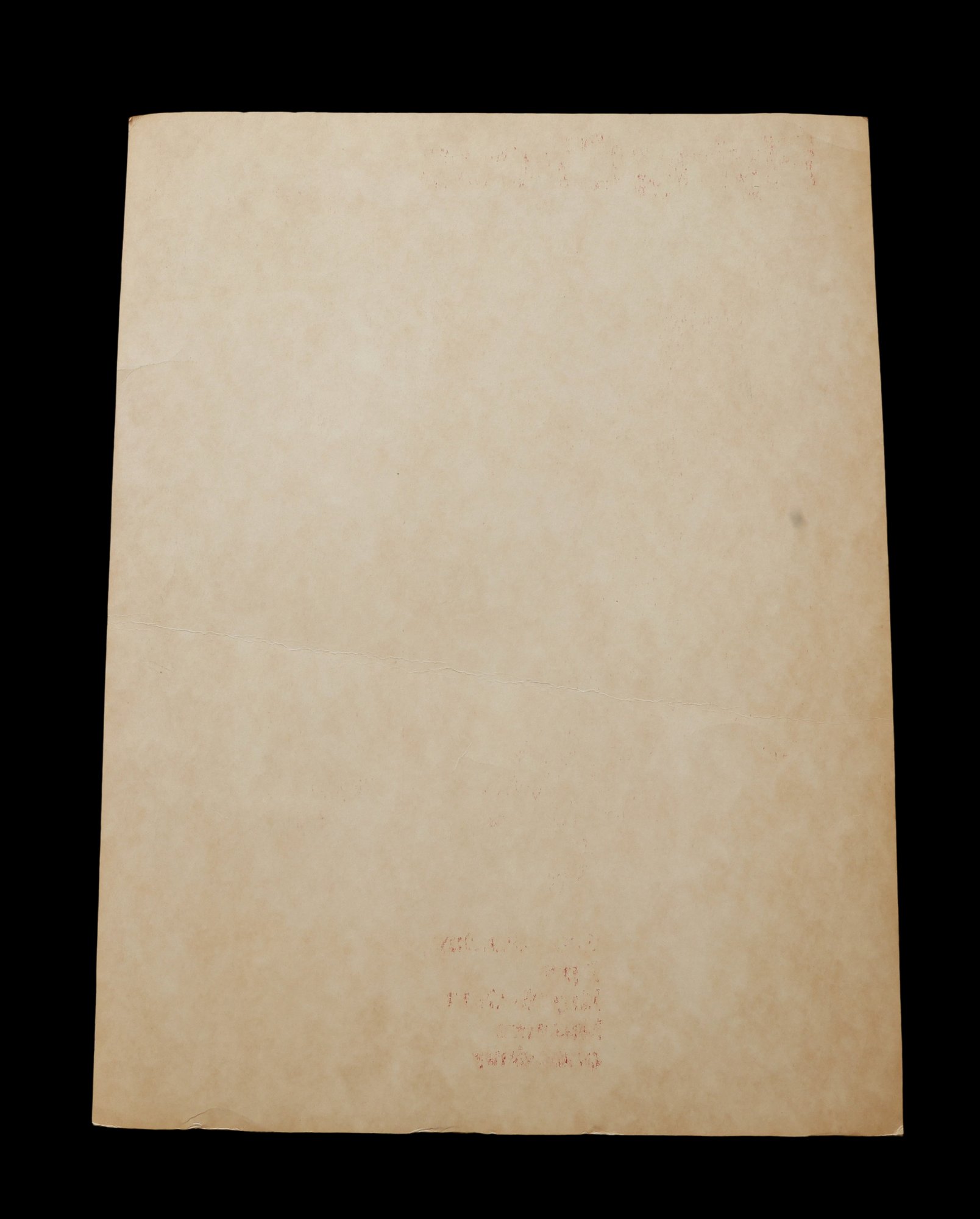 Vintage Flying Circus Poster- Shippable #18130 | Auctionninja.com