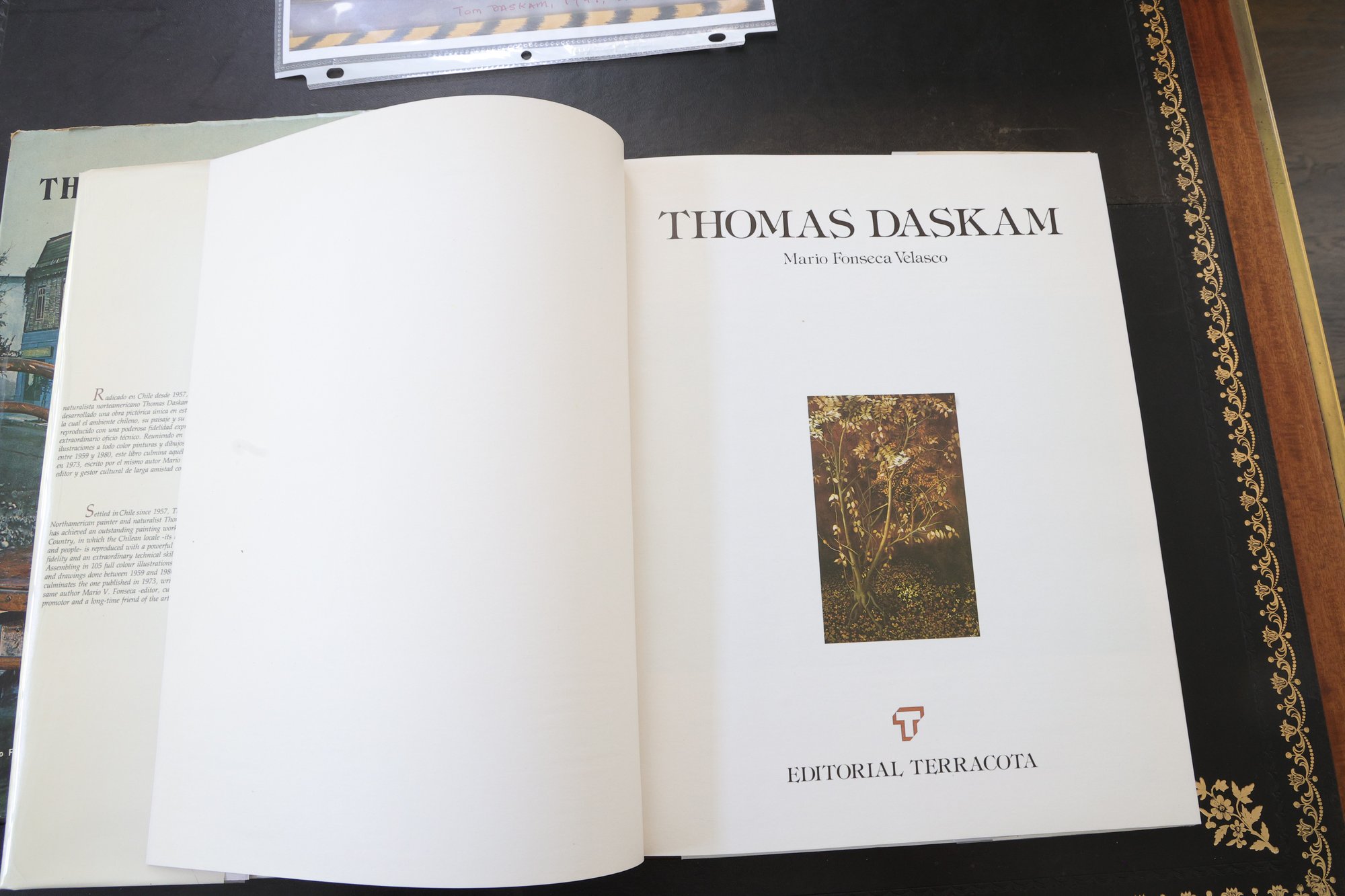 Large Thomas Daskam Signed And Dated 1971 Original Oil Painting #18954 ...