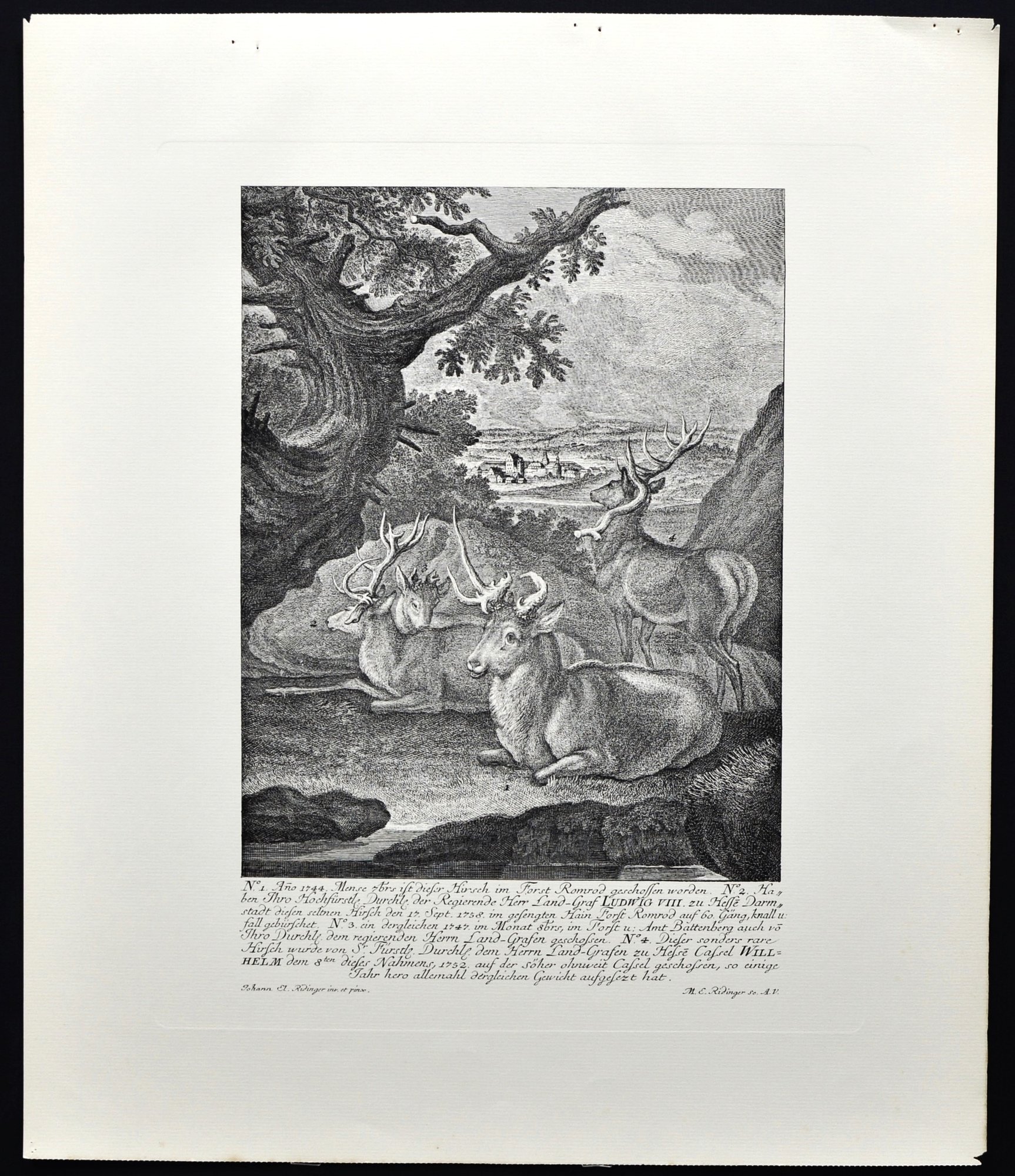 Johann Elias Ridinger (1698 - 1767) " Stag In A Forest" Etching #1906 ...