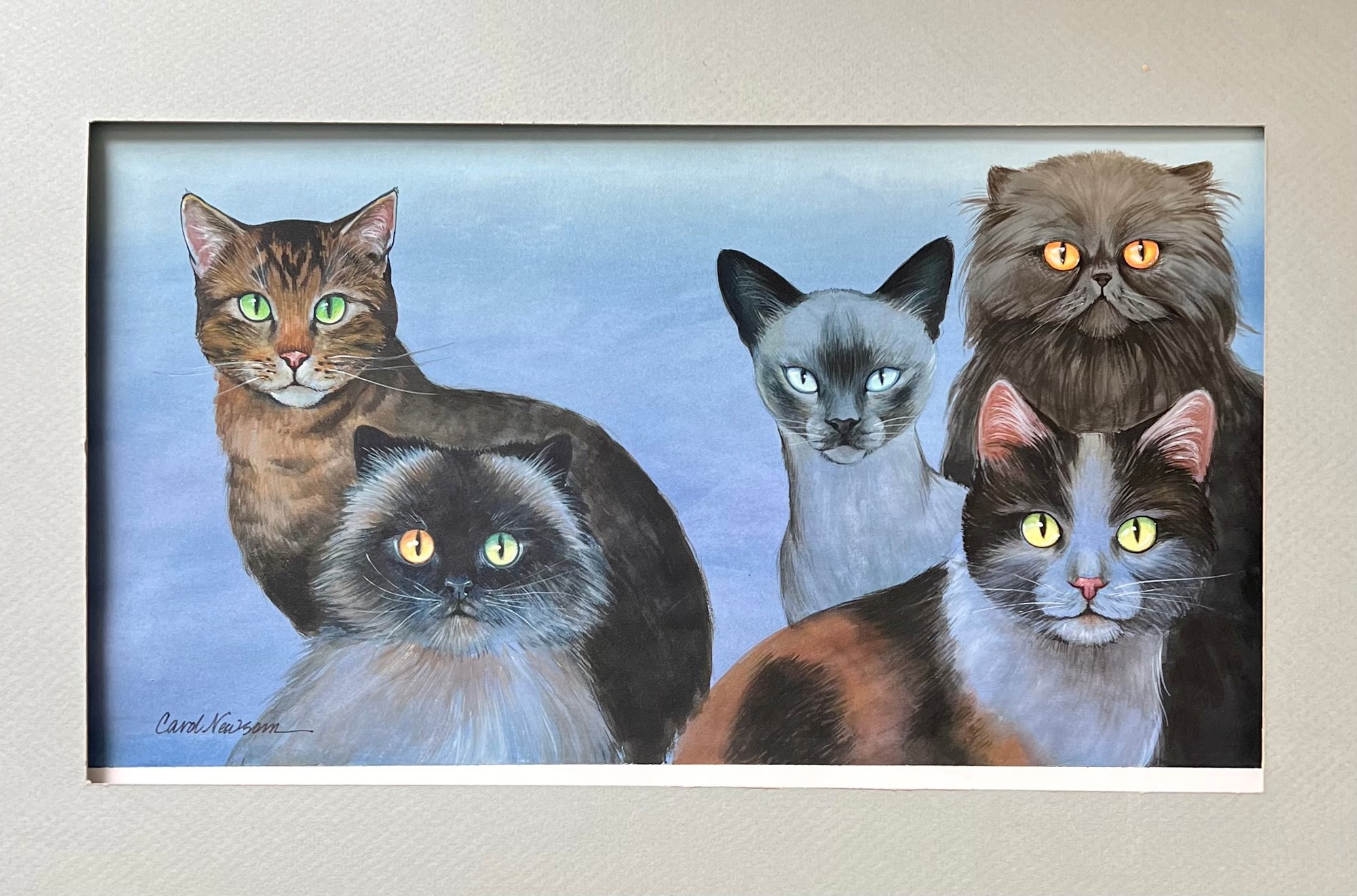 Carol Newsom Out Of Frame Cat Original Signed Pencil And Water Color ...