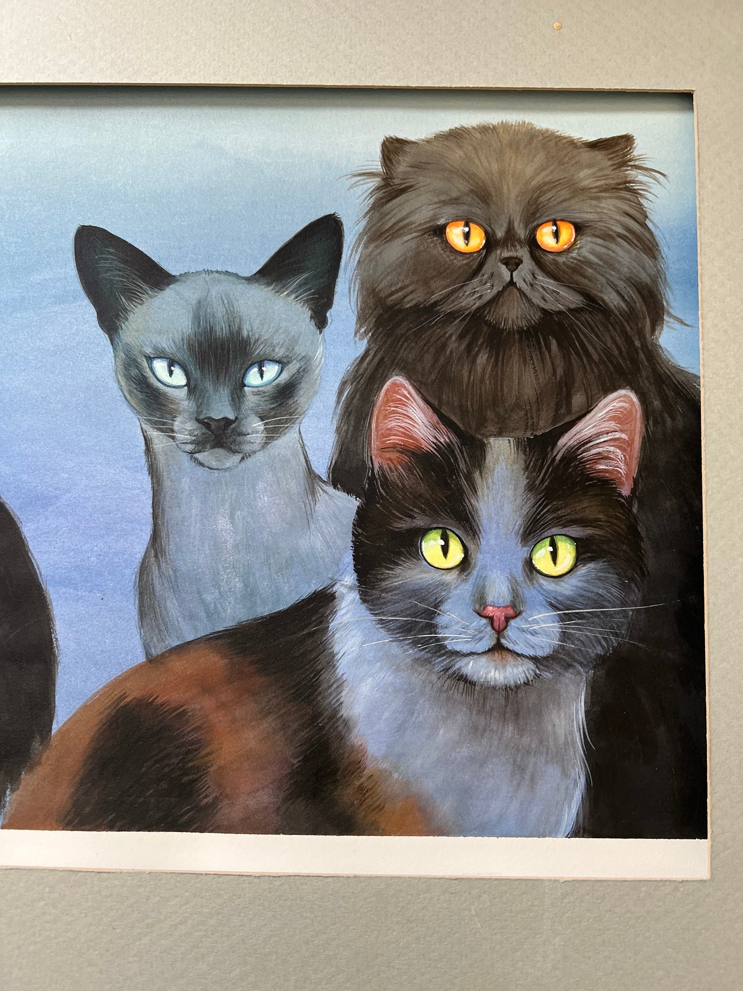 Carol Newsom Out Of Frame Cat Original Signed Pencil And Water Color ...