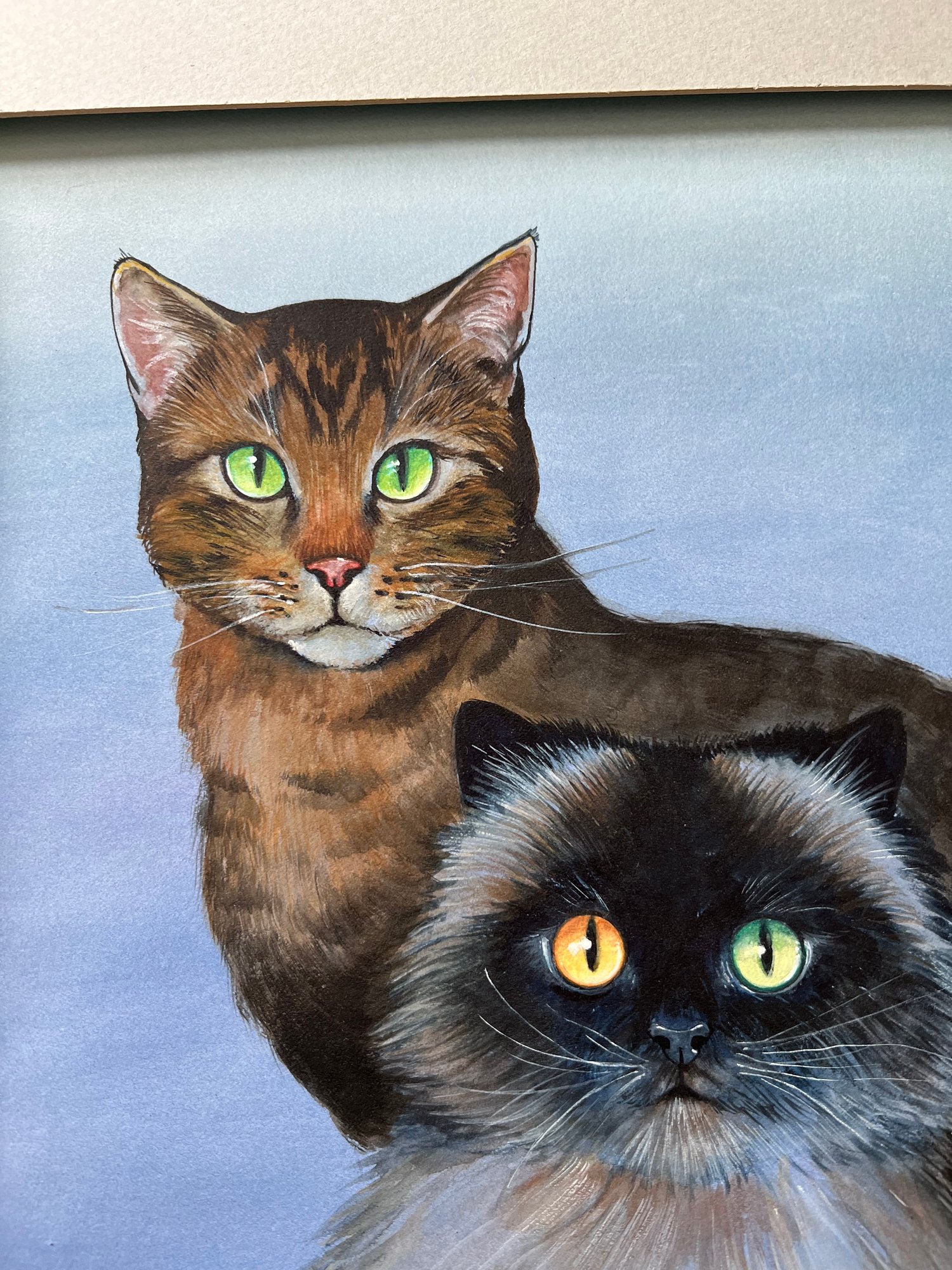 Carol Newsom Out Of Frame Cat Original Signed Pencil And Water Color ...