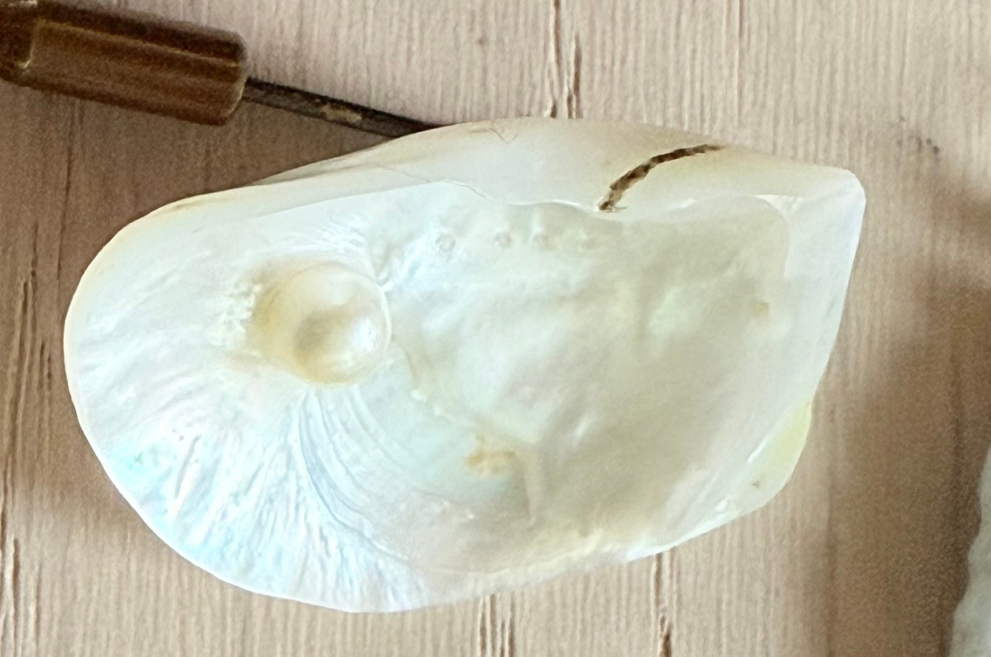 Vintage Pins And Pendants Carved Jade - Teeth Boat - 12k Gf Bracelet ...