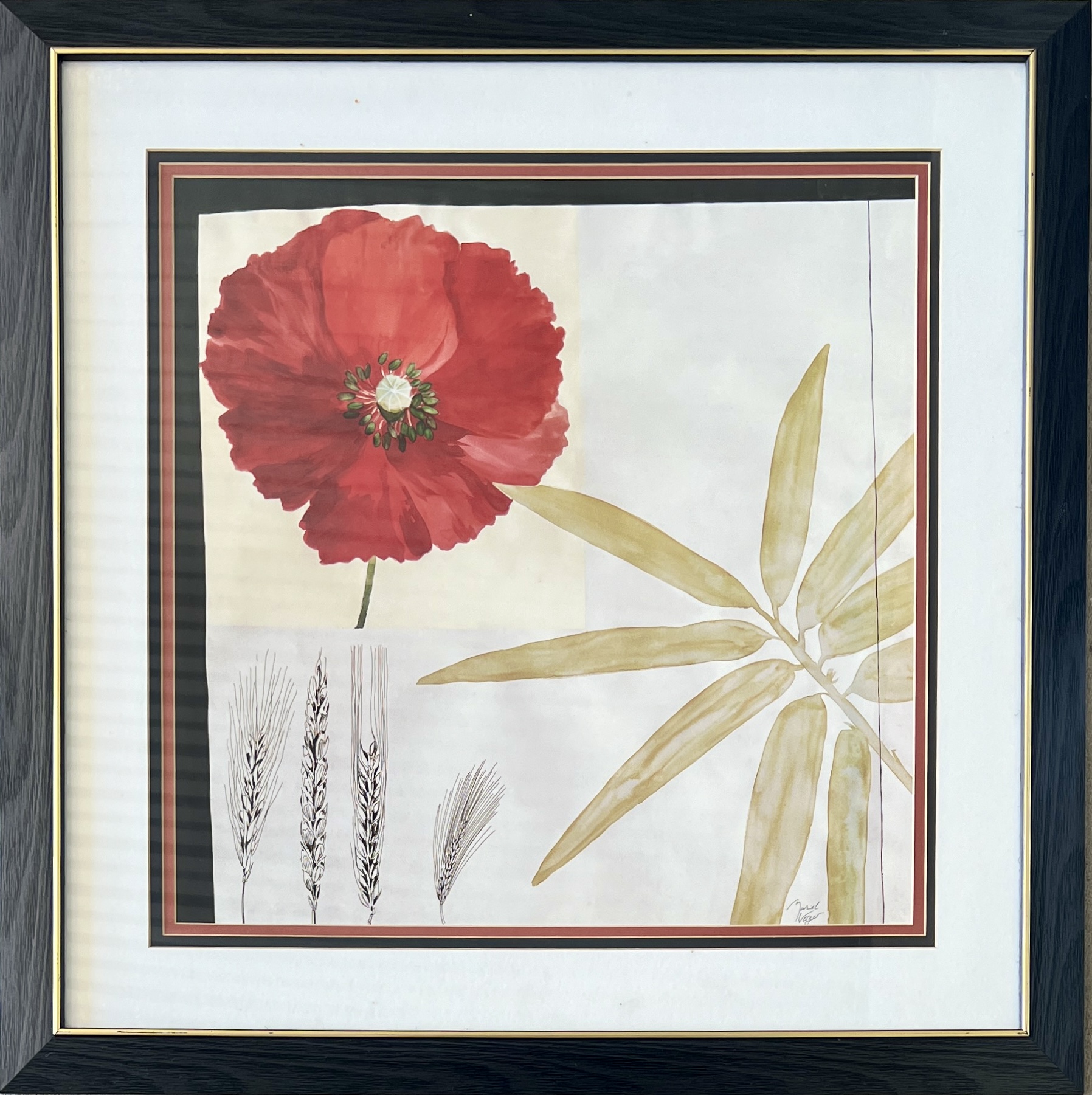 Original Signed Muriel Verger Red Poppy, Wheat, And Vizcaya Ferns In ...
