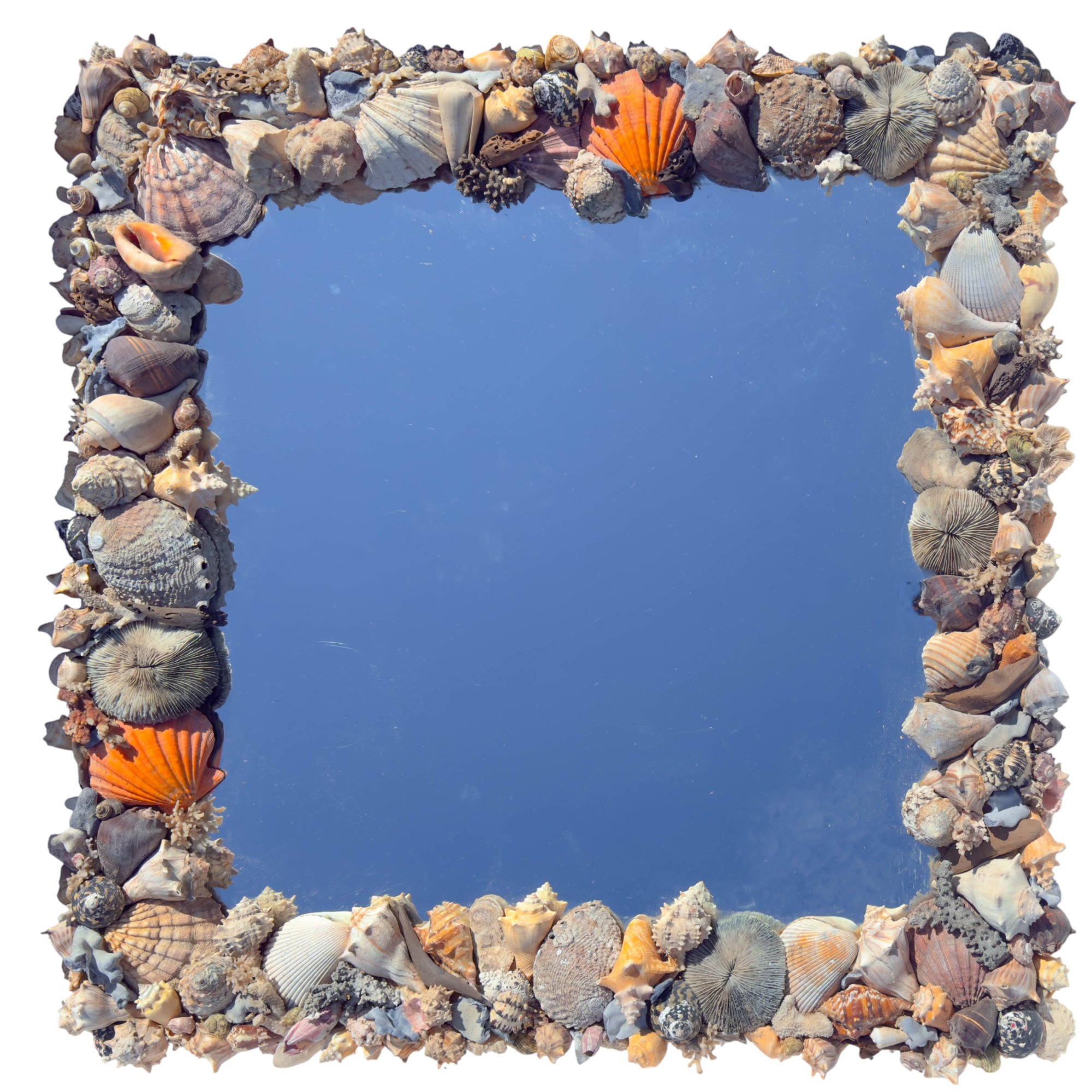 4 Foot By Four Foot Coral And Shell Mirror! #10614 | Auctionninja.com