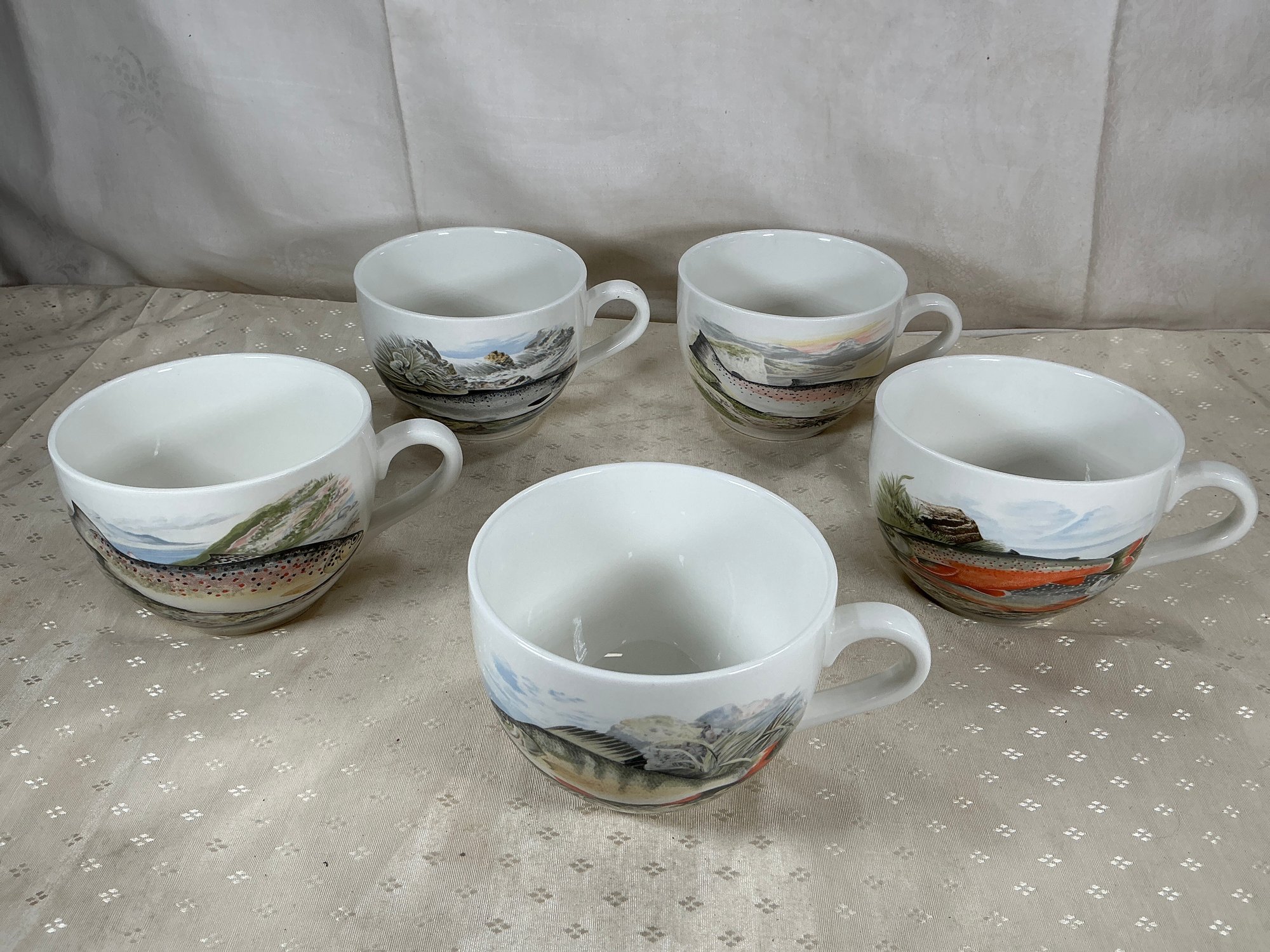 The Complete Angler British Fishes, A.J. Lydon, 5 Large Mugs, See ...
