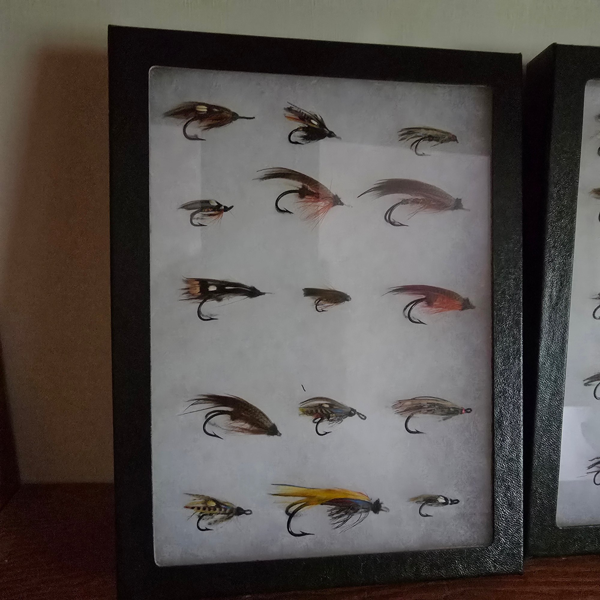 Fly Fishing Flies In Display Cases (up) #97333 | Auctionninja.com