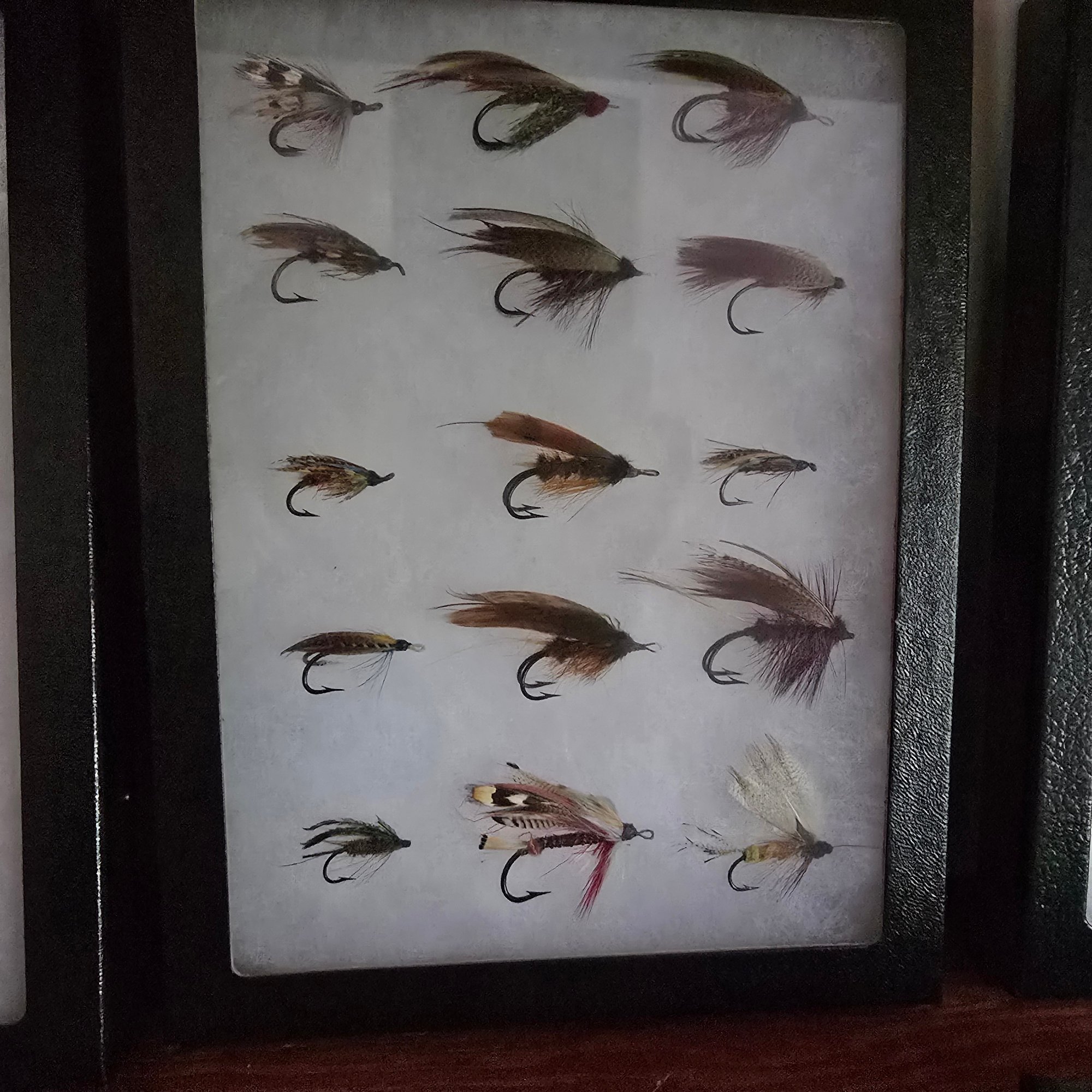 Fly Fishing Flies In Display Cases (up) #97333 | Auctionninja.com
