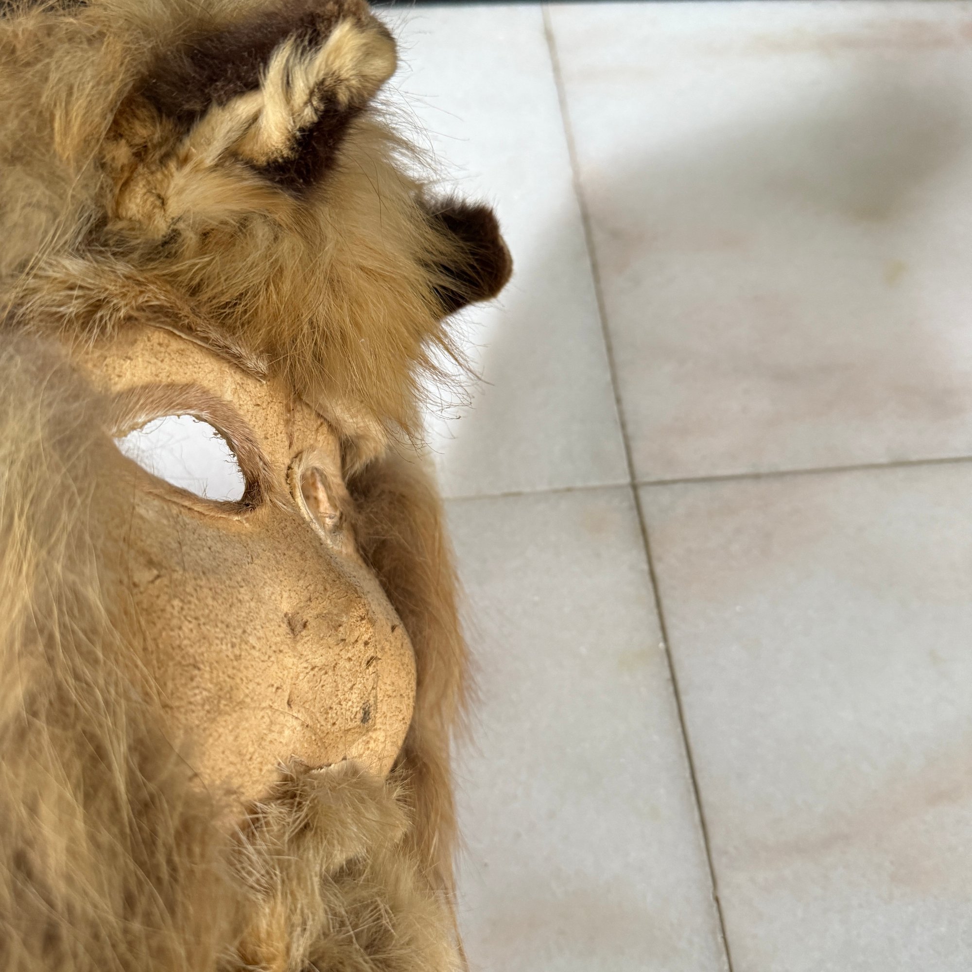 Vintage Inuit Mask (LR) #92183 | Auctionninja.com