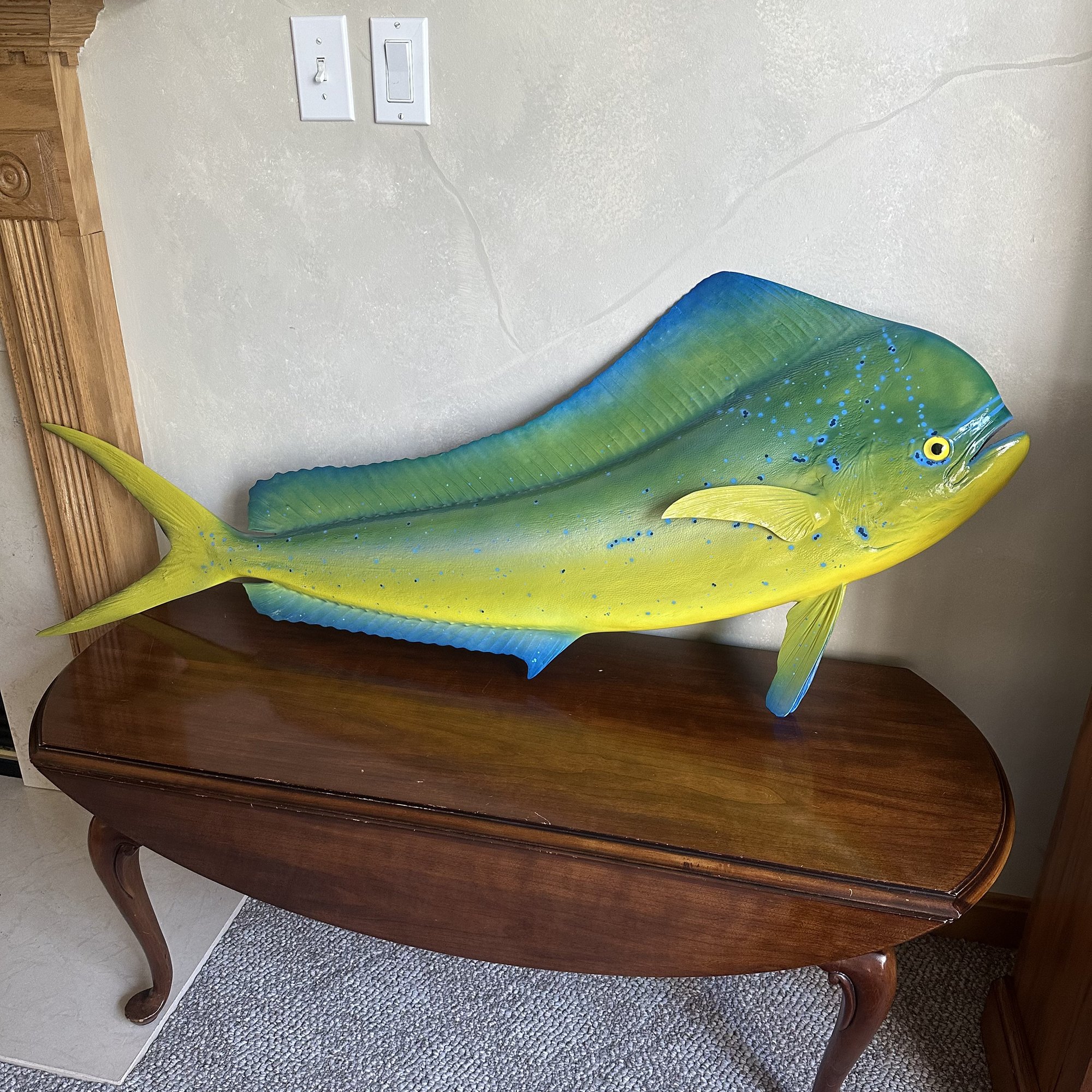 Bull Dolphin Fish Wall Mount (LR) #97512 | Auctionninja.com
