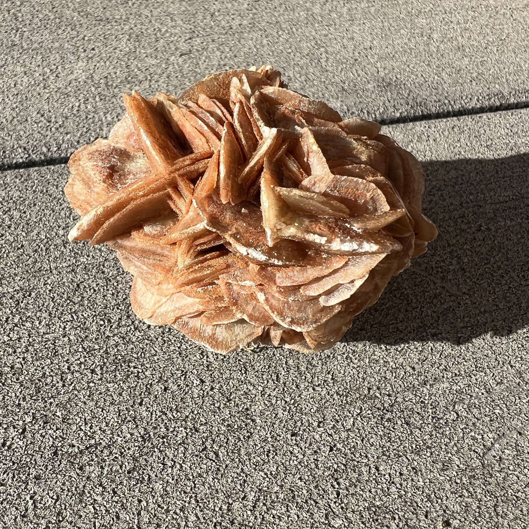Desert Rose Cluster (BNA) #114921 | Auctionninja.com
