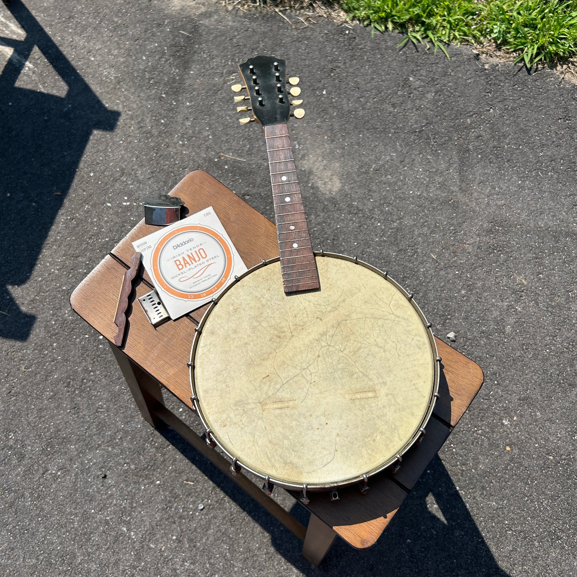 Vintage OLIVER DITSON Banjo #60284 | Auctionninja.com
