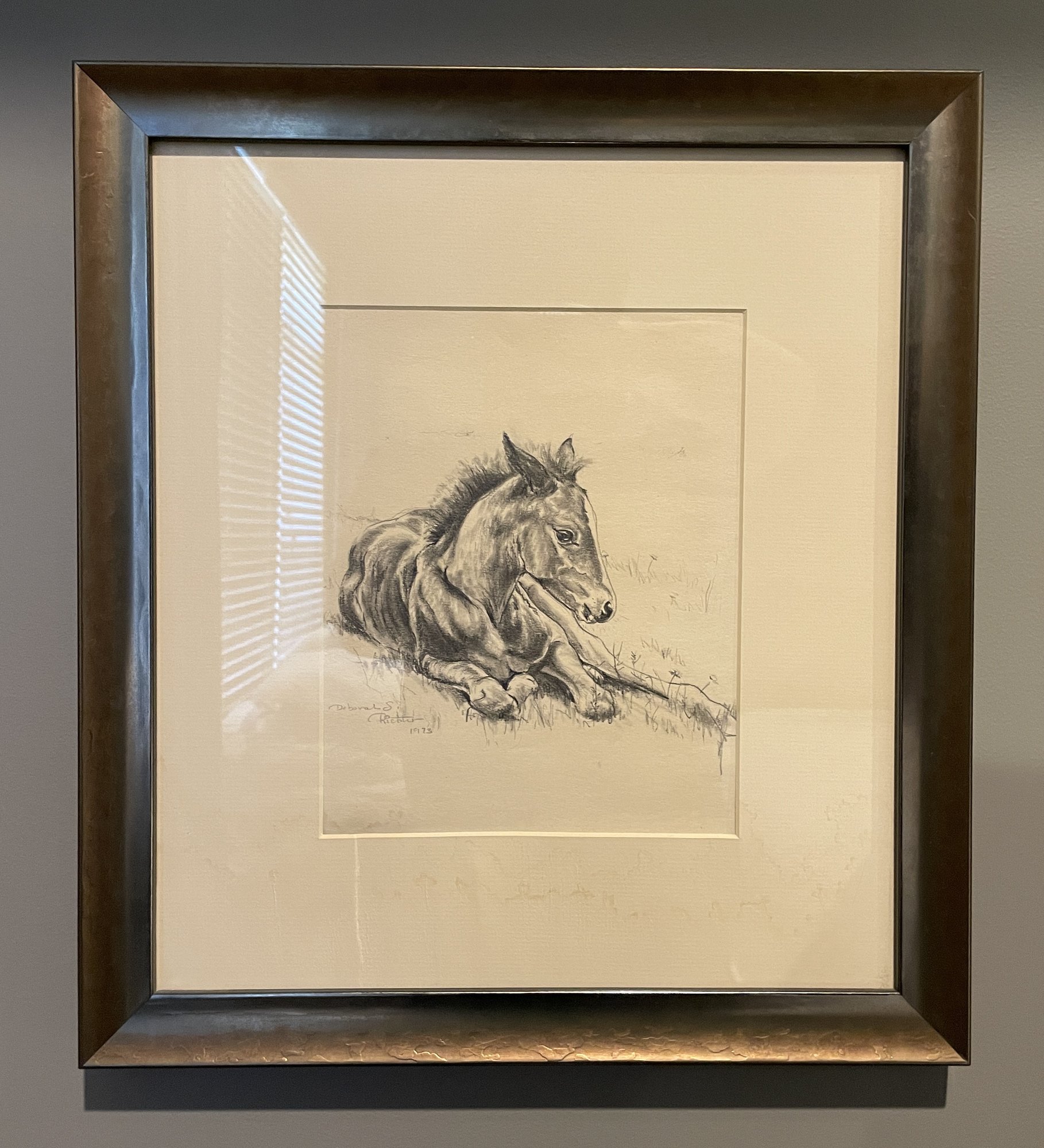 Framed Horse Sketching By Deborah S. Richter Circa 1973 #13406 ...