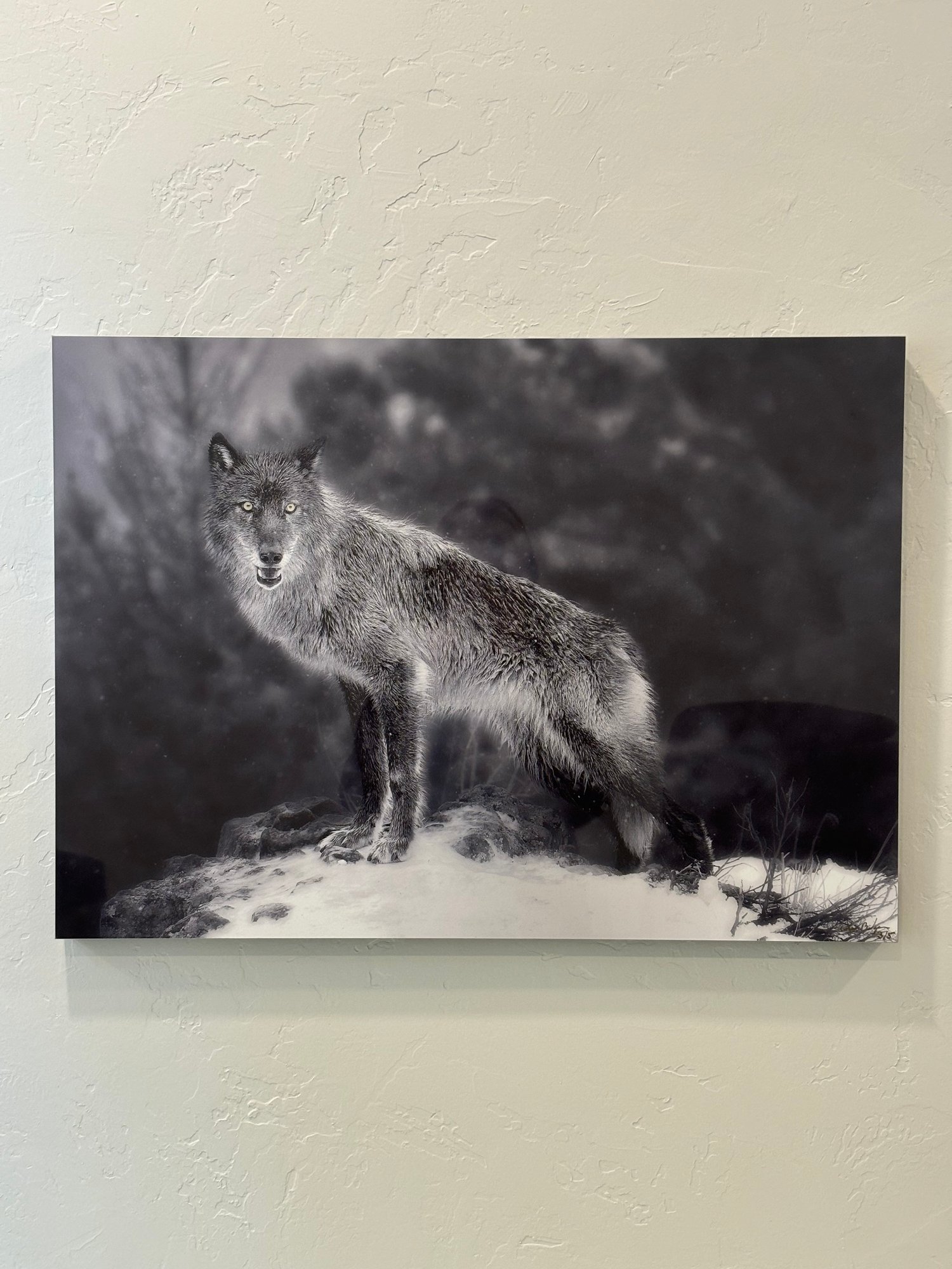 R6 Wolf Artwork And Wall Clock, Worked At Time Of Lotting #43043 ...