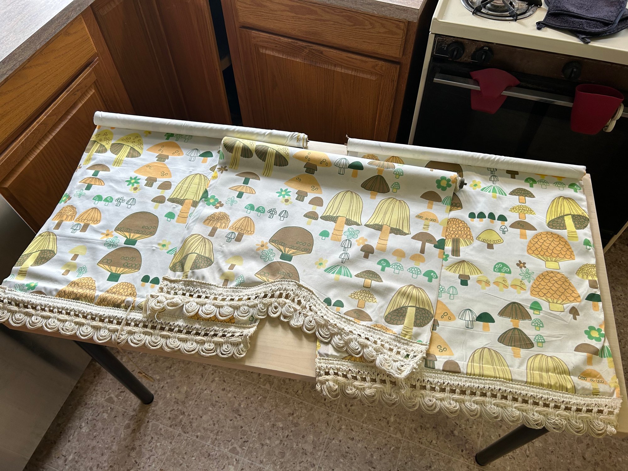Vintage 60s 70s Pull Down Roller Shade Lot - Mid Century MCM Mushrooms ...