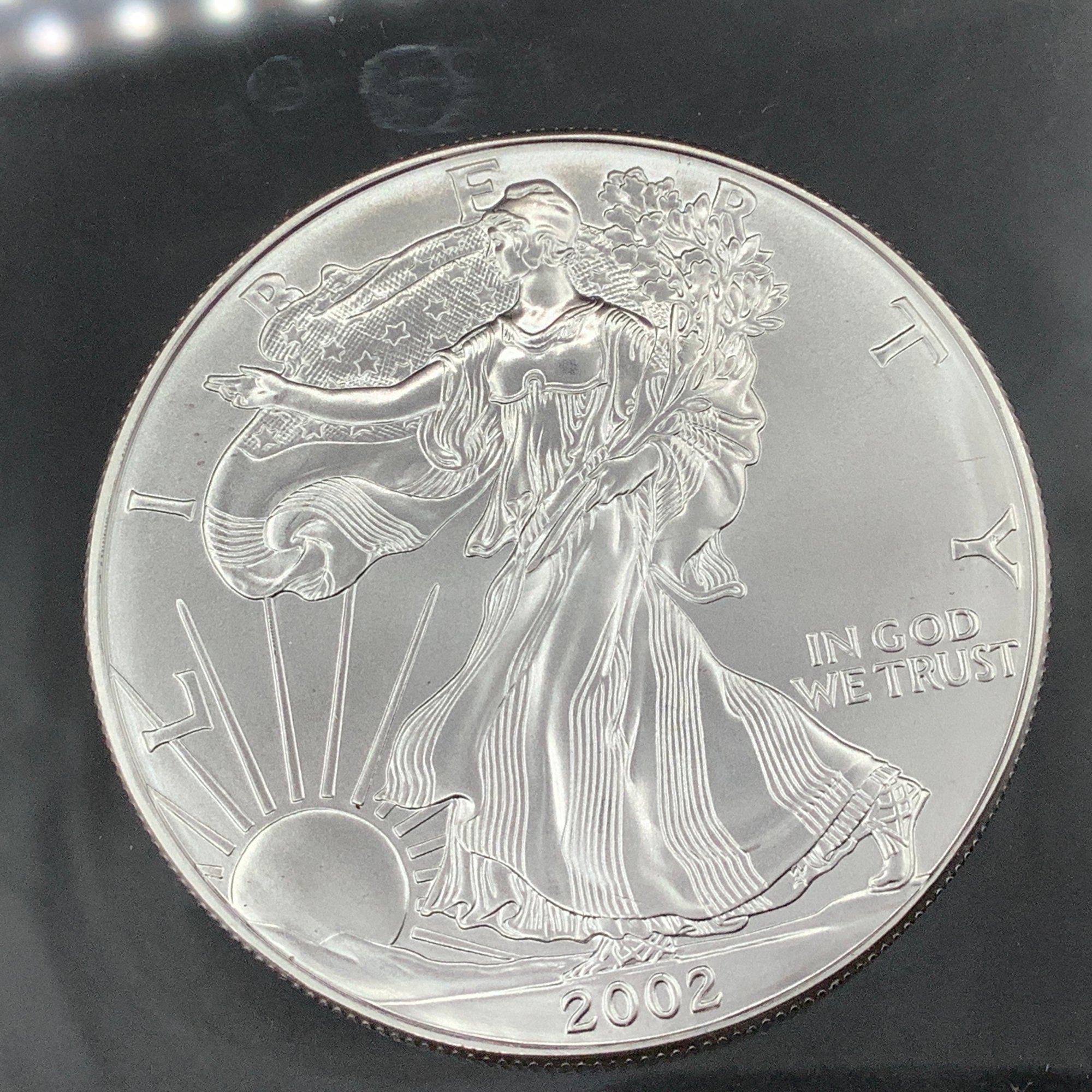2002 Silver Eagle Coin, 1 Oz Fine Silver - One Dollar #6312 ...