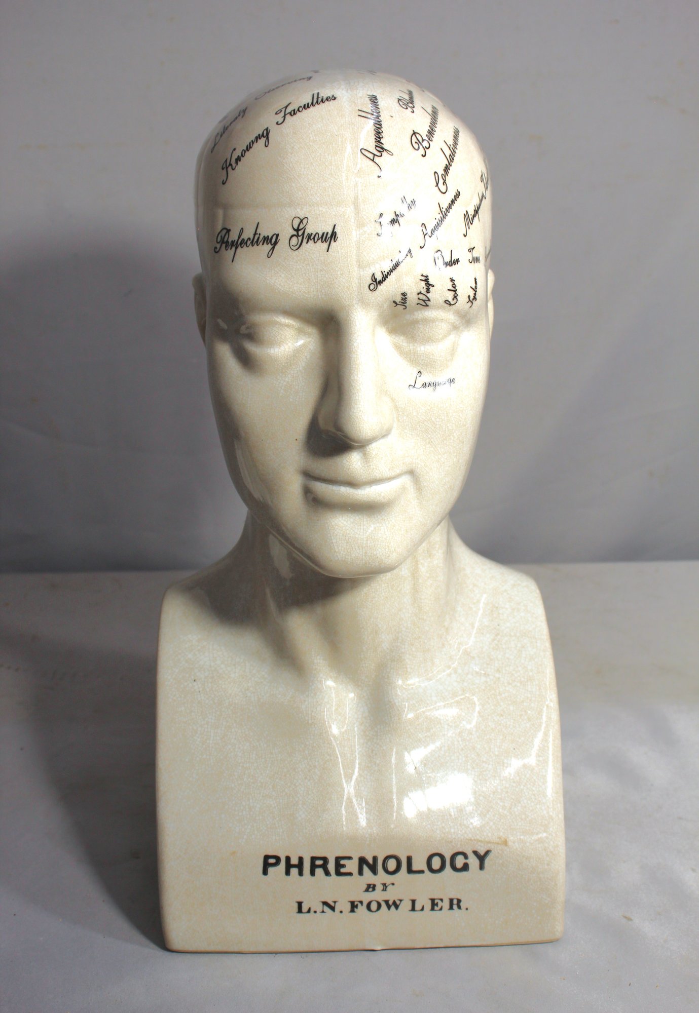 Medium Ceramic Phrenology Head 17"h #69607 | Auctionninja.com