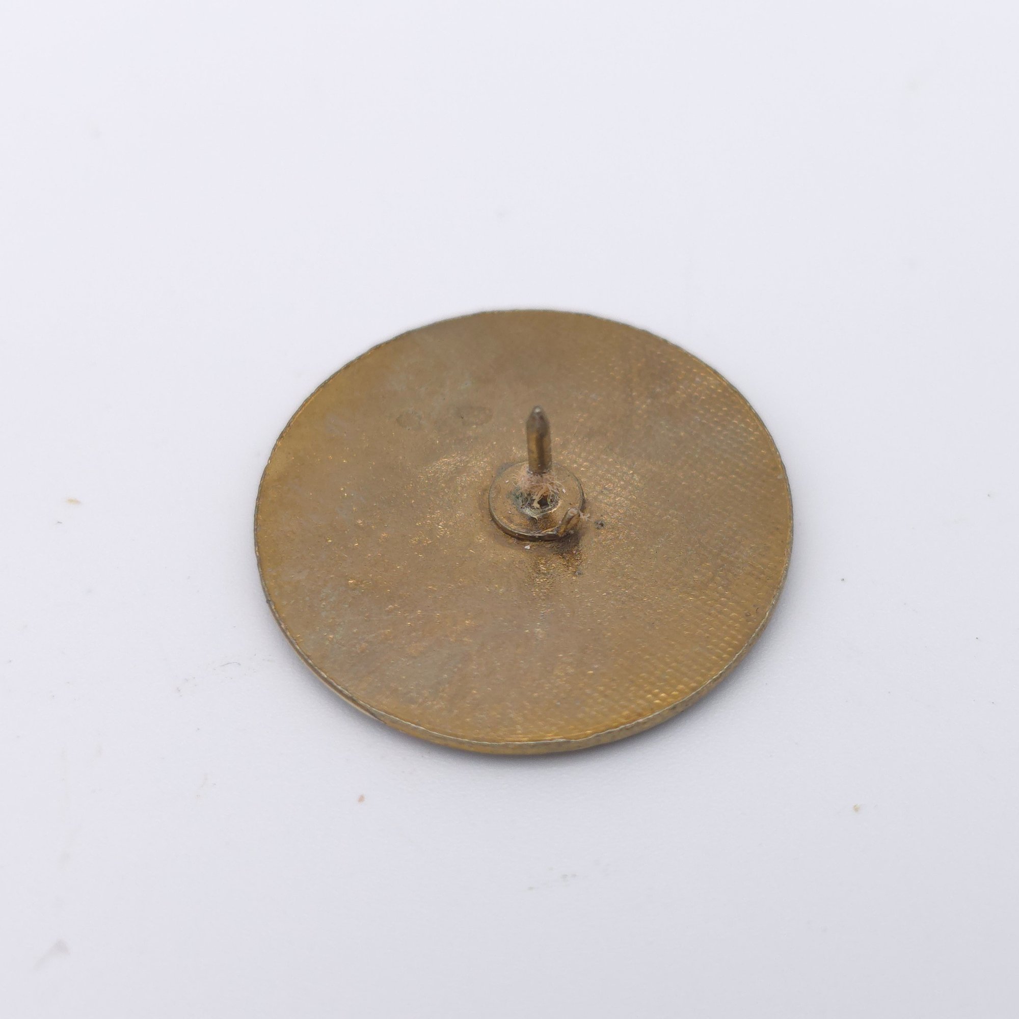 Iron Maiden 1980s Rock & Roll Pin #6454 | Auctionninja.com