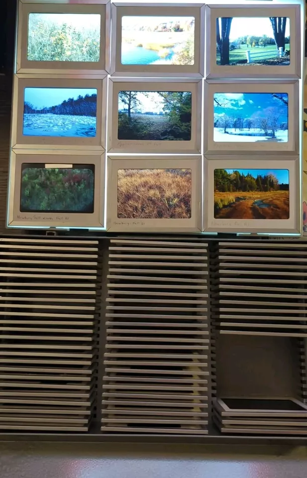 75 Stunningly Beautiful Massachusetts Nature Medium Format Slides 1980s ...