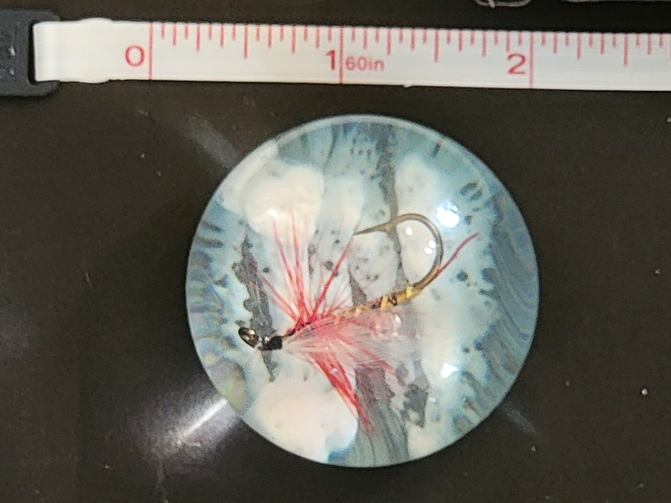 Fly In Resin Paperweight. Collectible, Unsigned. Measures About 2 By 0. ...