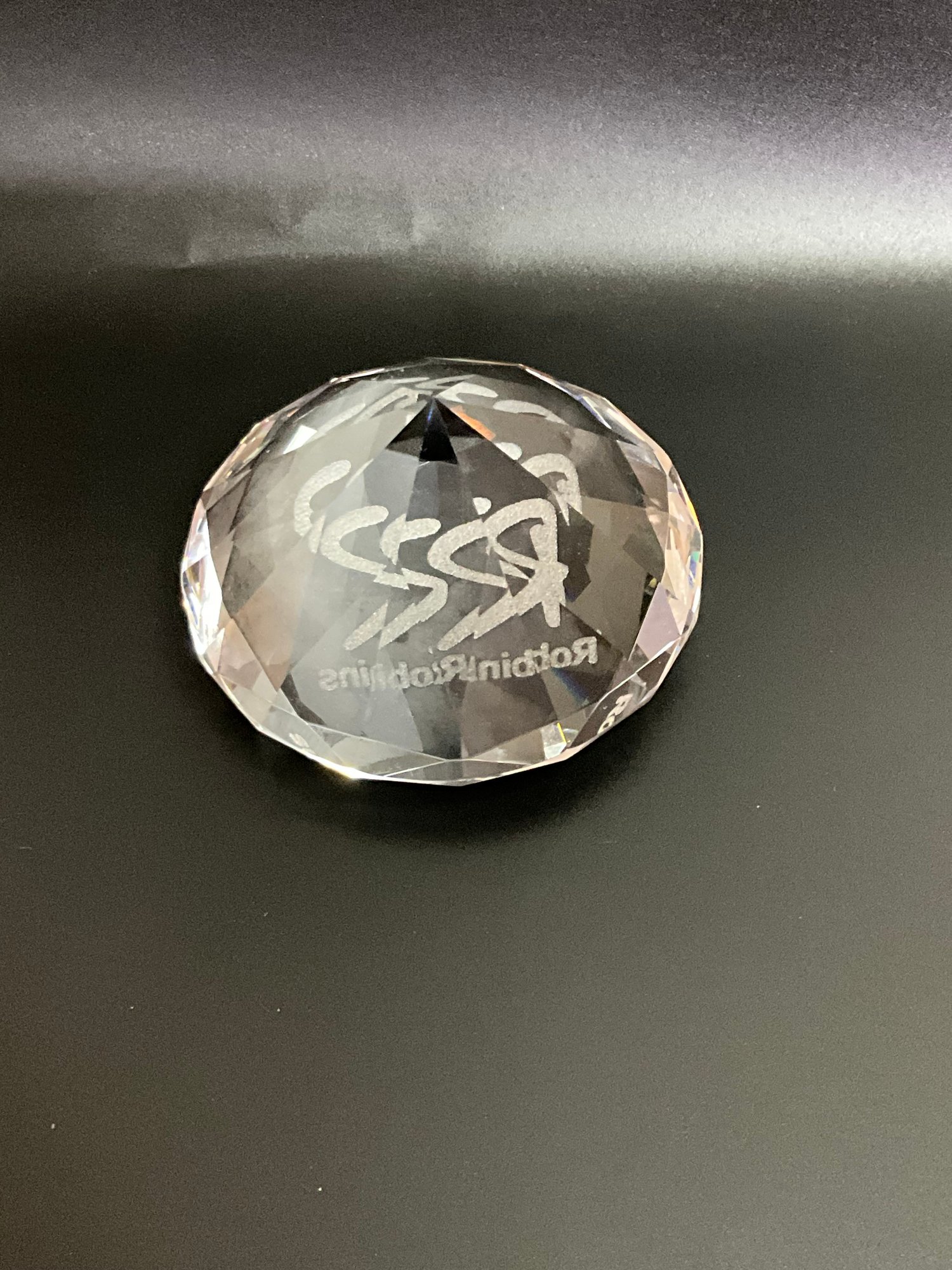 Robin Robins Glass Crystal Paperweight #26983 | Auctionninja.com