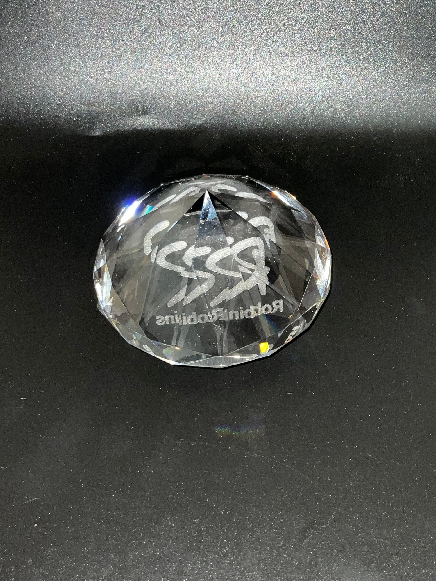 Robin Robins Glass Crystal Paperweight #26983 | Auctionninja.com