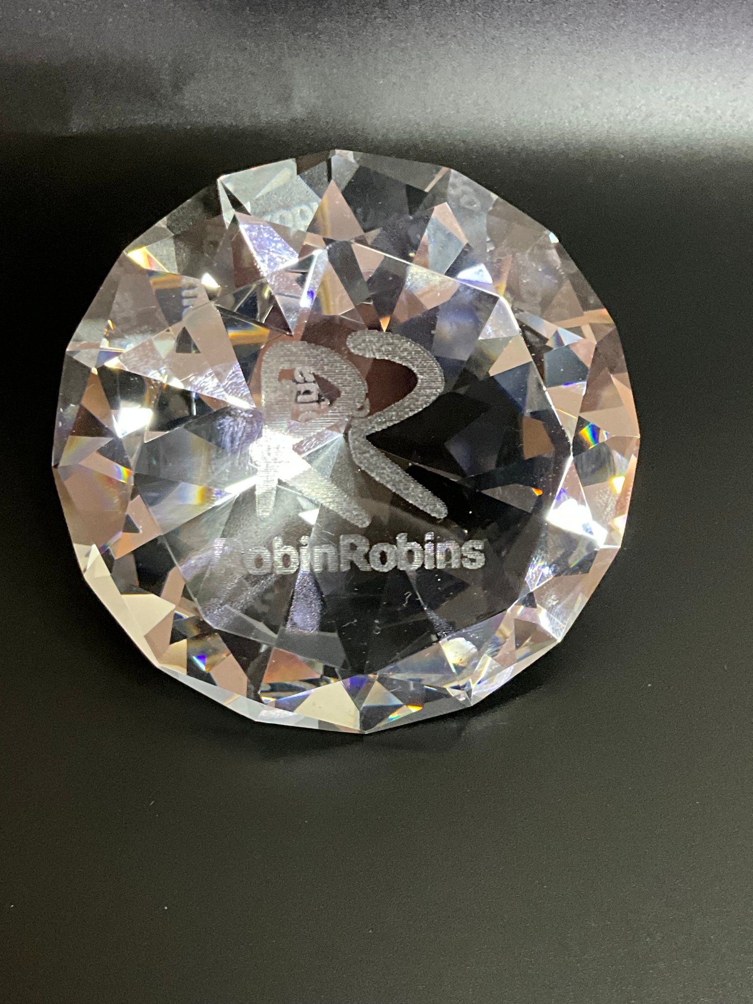 Robin Robins Glass Crystal Paperweight #26983 | Auctionninja.com
