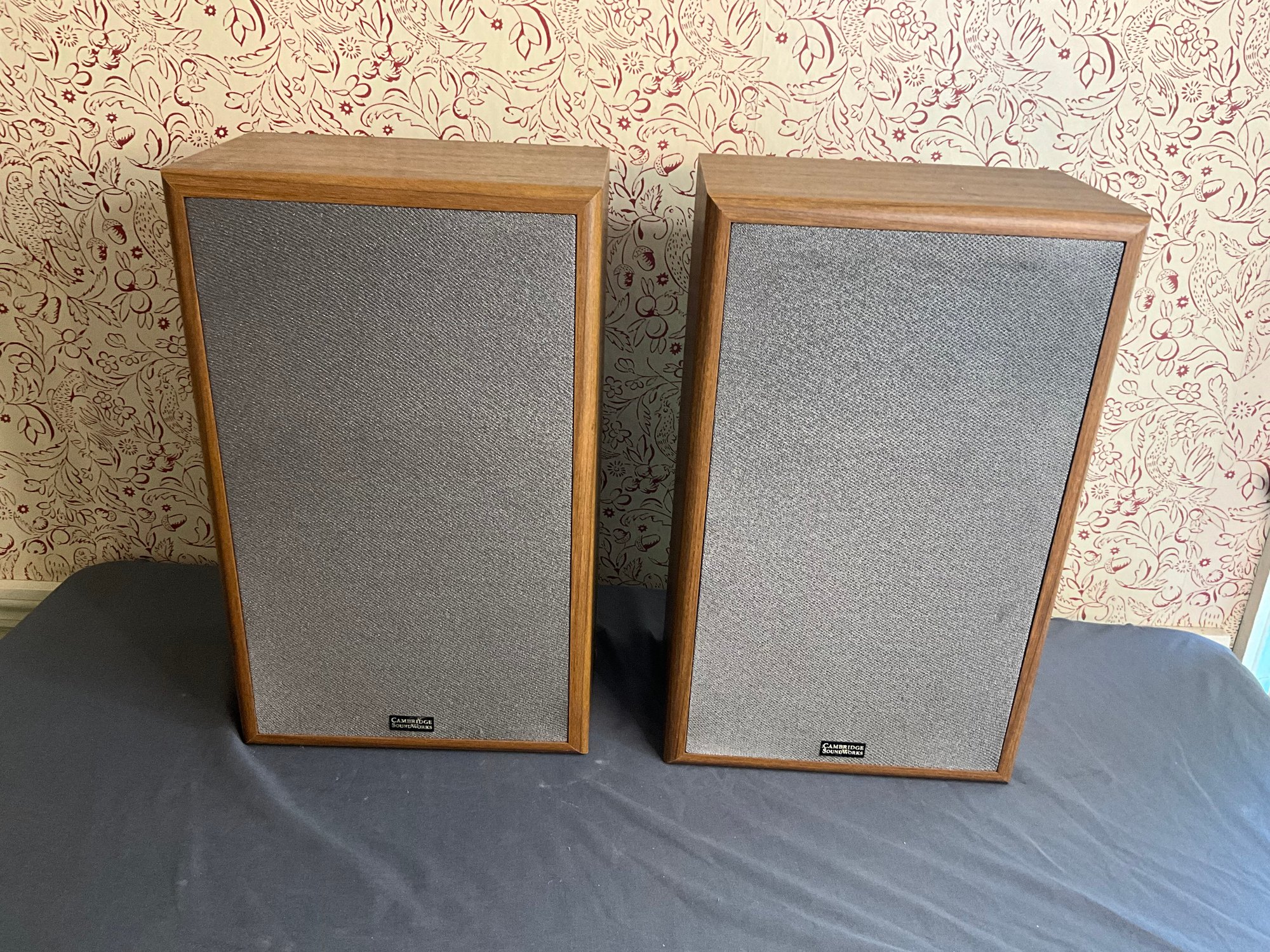 Pair Of Vintage Cambridge Soundworks Model Six Speakers #18288 ...