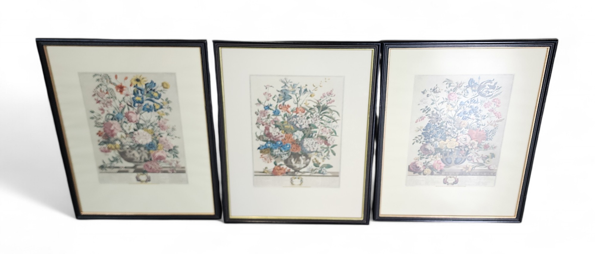 Set 3 Botanical Month Prints ~ May June & July ~ Framed 20 X 26 #2710 ...