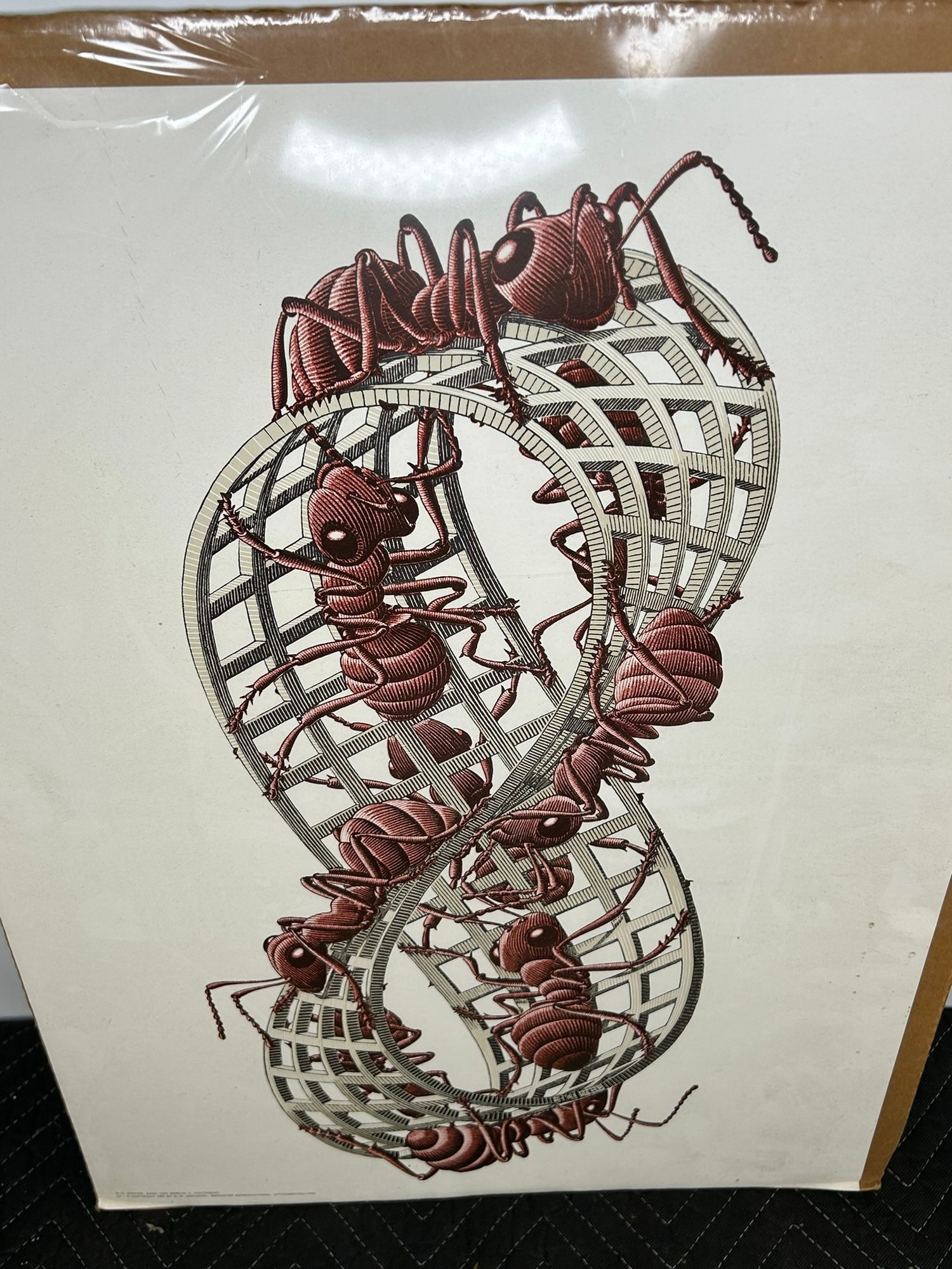 1970 MC Escher Band Can Mobius II Ant Print In Plastic #2940 ...