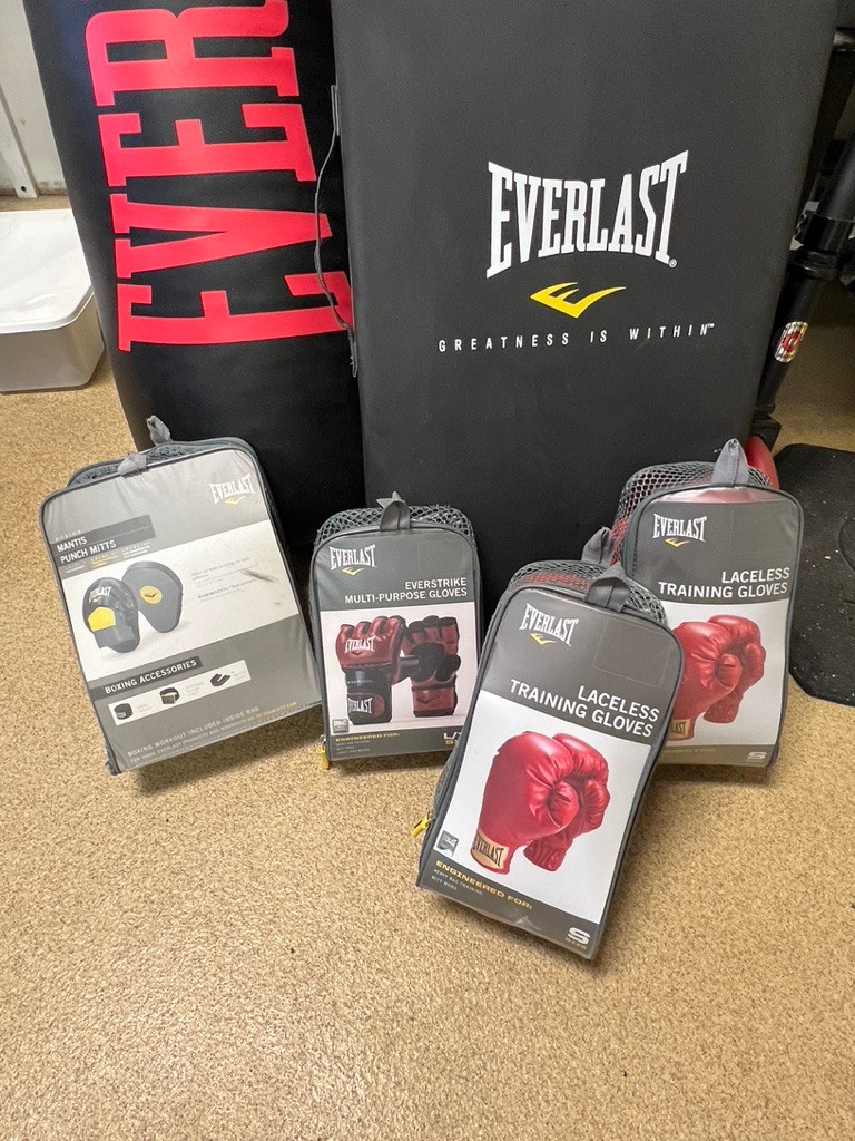 Everlast Workout Lot, 100 Lb Punching Bag, Gloves, And Workout Gloves ...