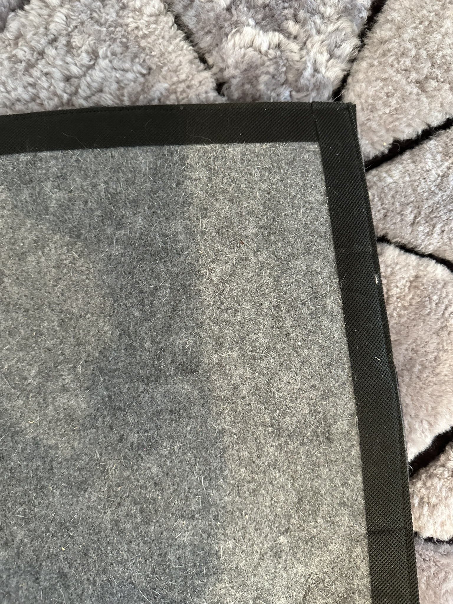 Custom Patagonian Sheepskin Rug By Pampas Leather (9' X 14') #2245230 ...
