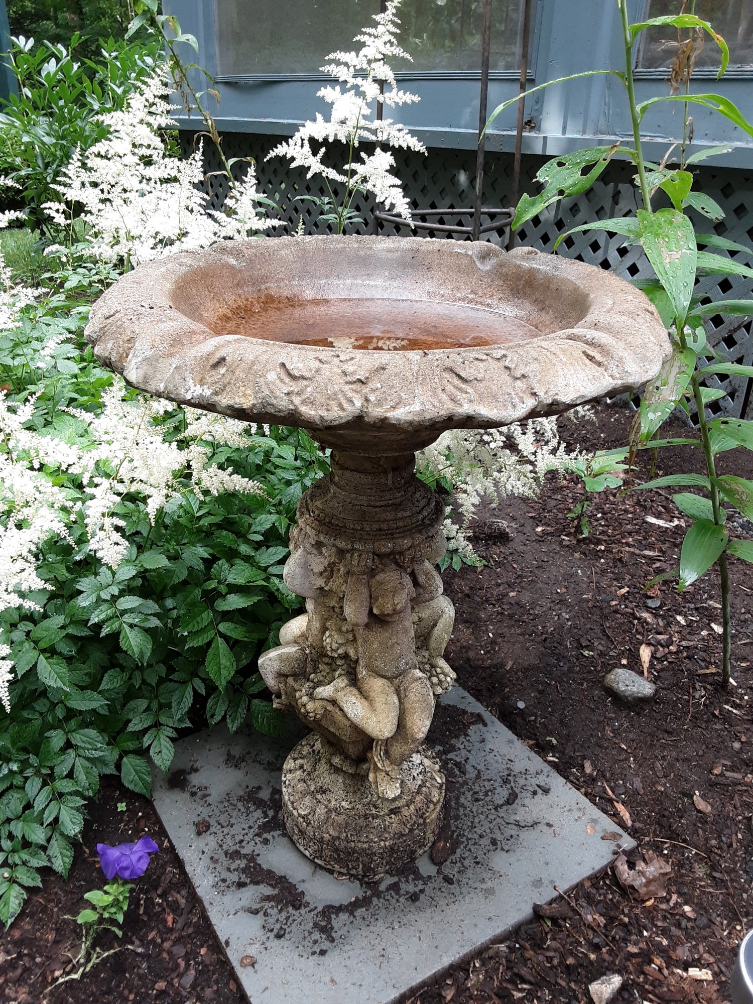 Concrete Birdbath #3 #1886539 | Auctionninja.com