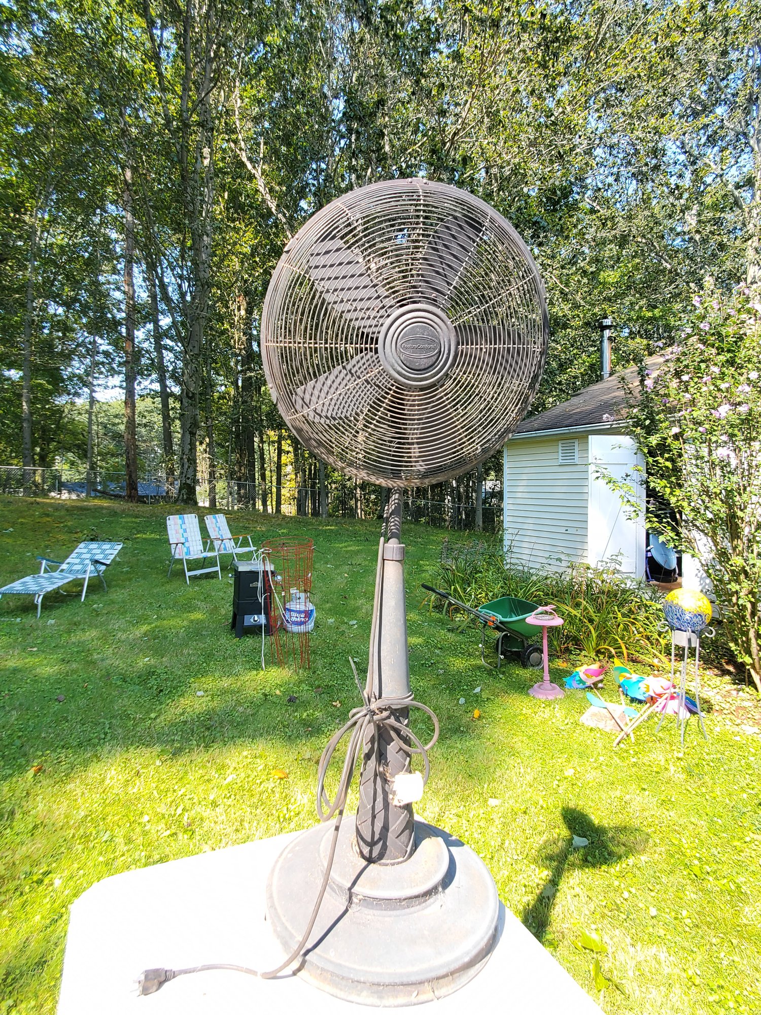 Feature Comfort Black Oscillating Floor Fan #1942936 | Auctionninja.com