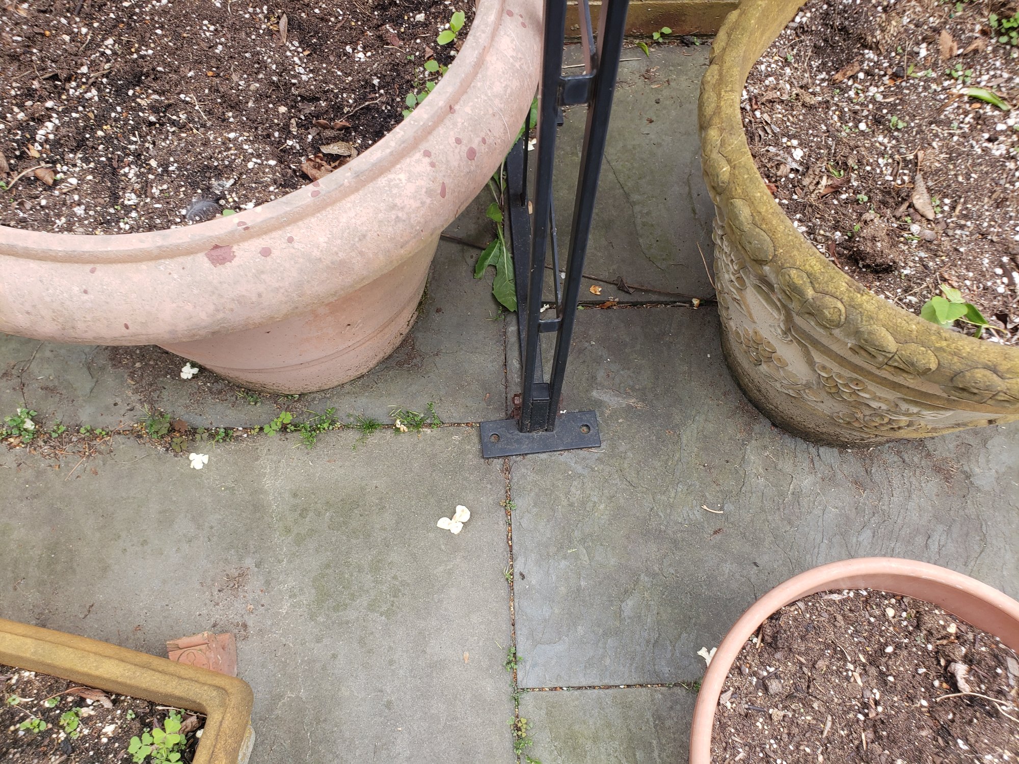 Black Metal Pergola Arbor #2125974 | Auctionninja.com