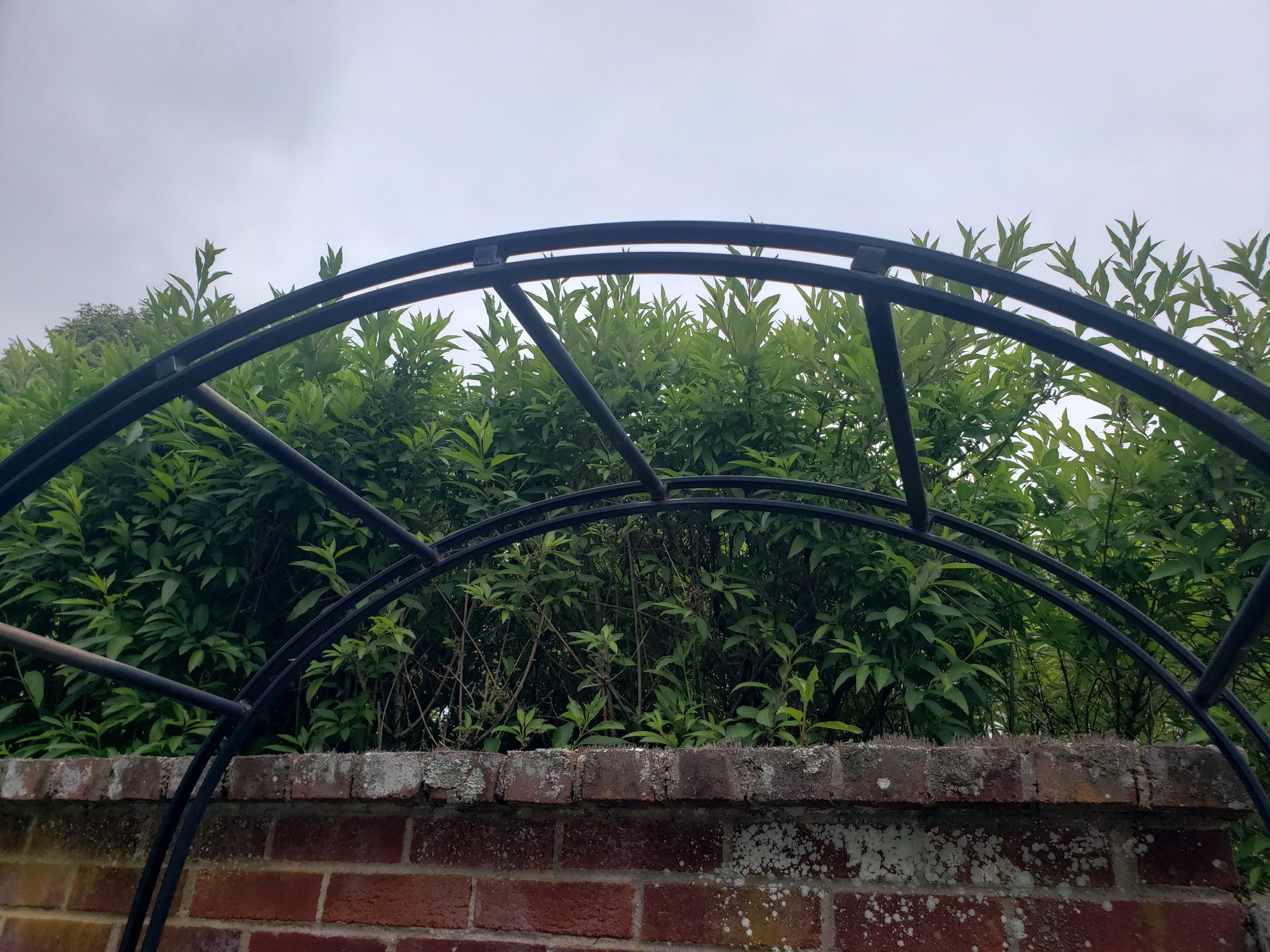 Black Metal Pergola Arbor #2125974 | Auctionninja.com