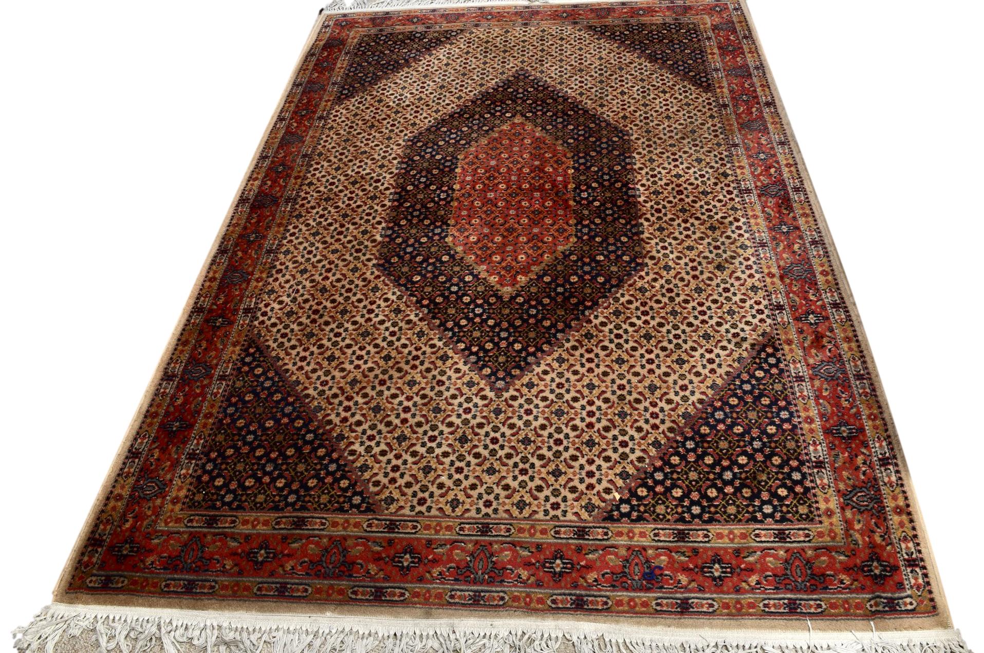 Orienta Pure Worsted Wool Area Rug - Made In Belgium #40837062 ...