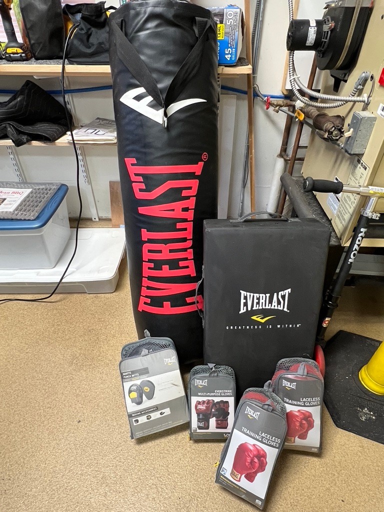 Everlast Workout Lot, 100 Lb Punching Bag, Gloves, And Workout Gloves ...