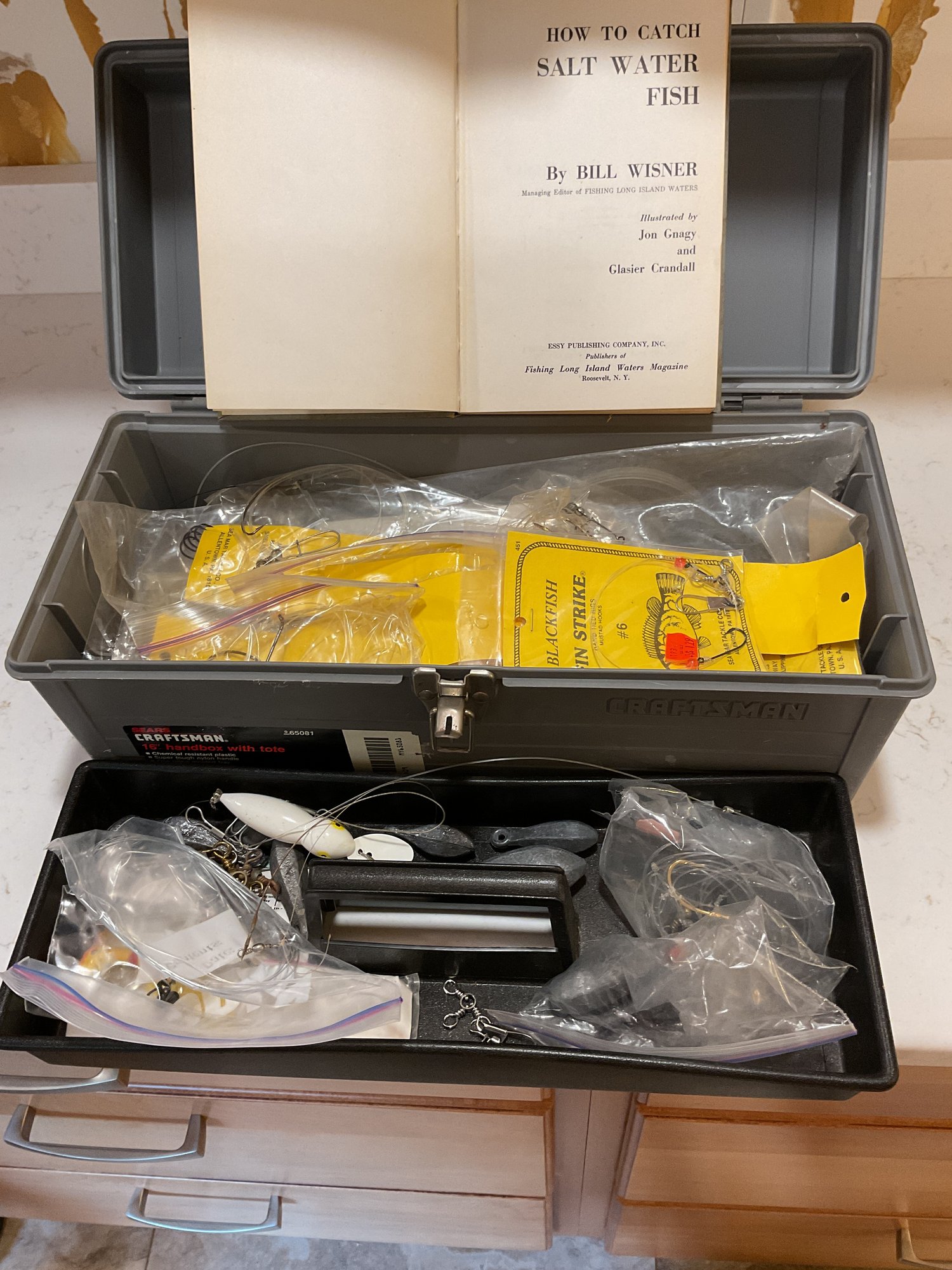 Tool Box Full Of Salt Water Fishing Tackle #2156691 | Auctionninja.com